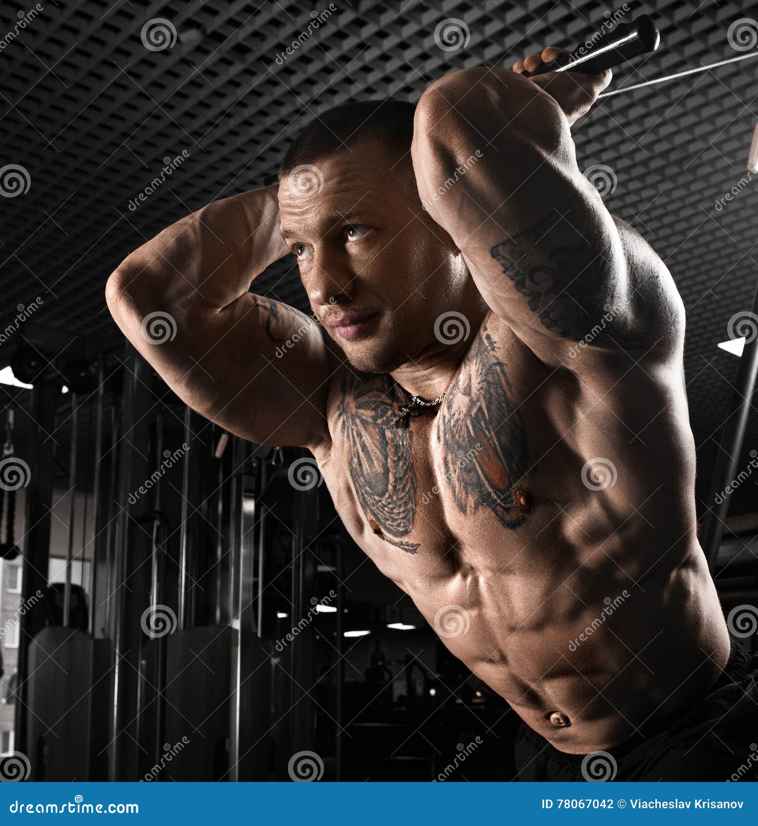 Muscular Athletic Bodybuilder Stock Photo - Image of fitness, healthy ...