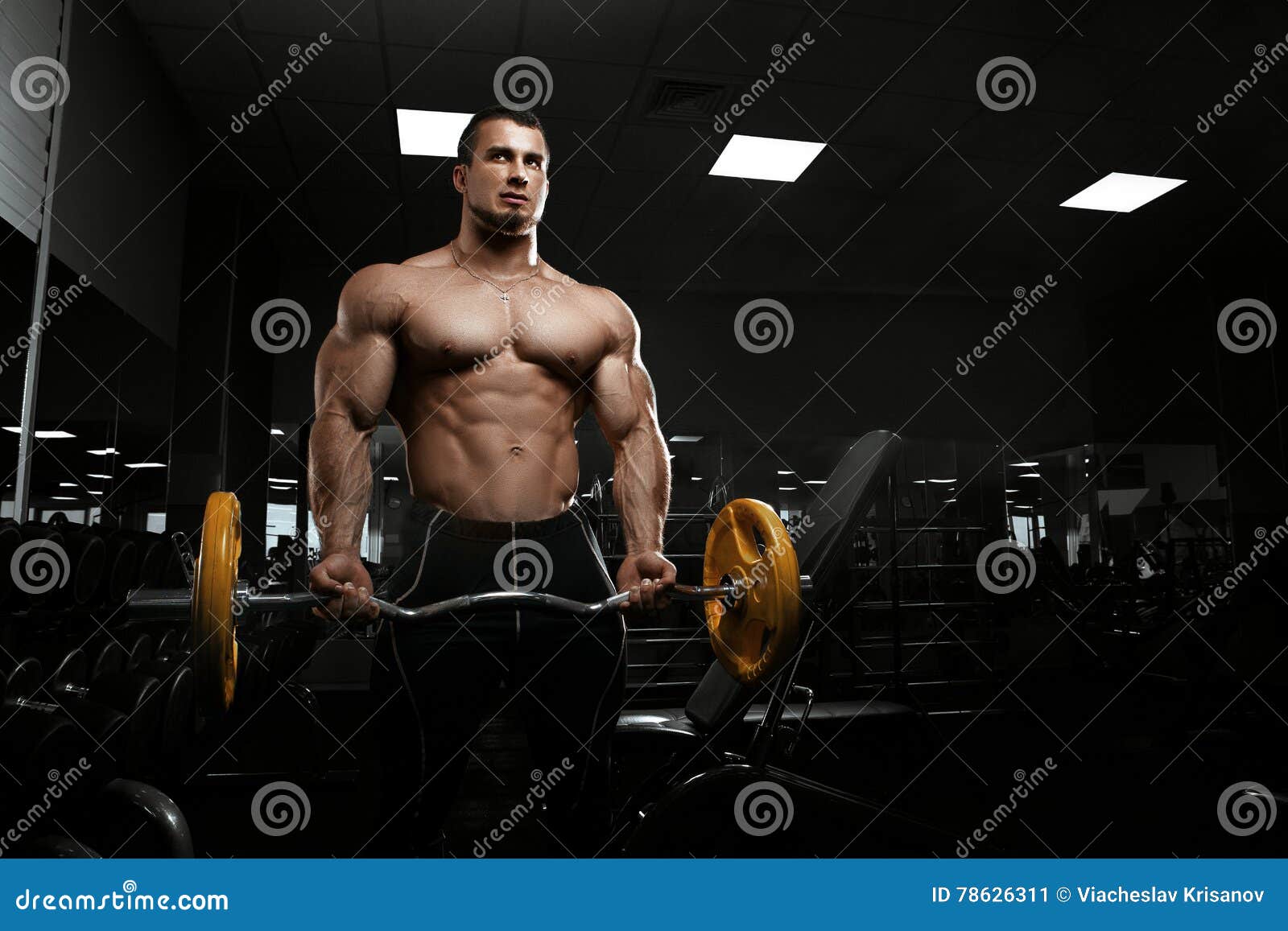 Muscular Athletic Bodybuilder Stock Image - Image of latissimus, health ...
