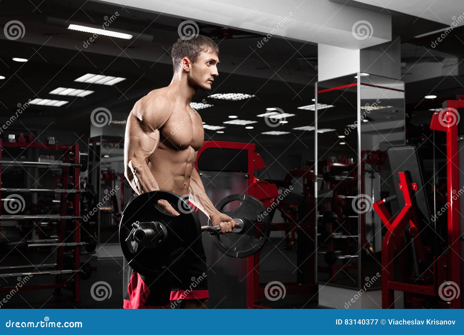 Muscular Athletic Bodybuilder Stock Image - Image of exercise, biceps ...