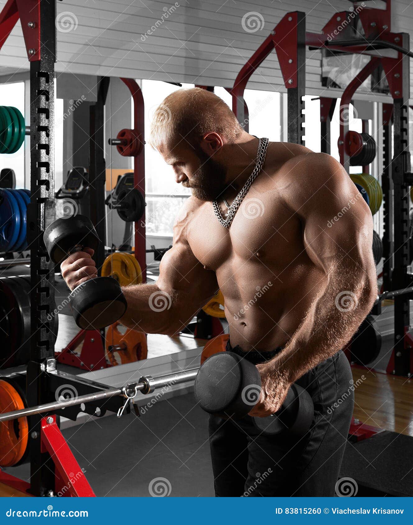 Muscular Athletic Bodybuilder Stock Photo - Image of delts, lifestyle ...