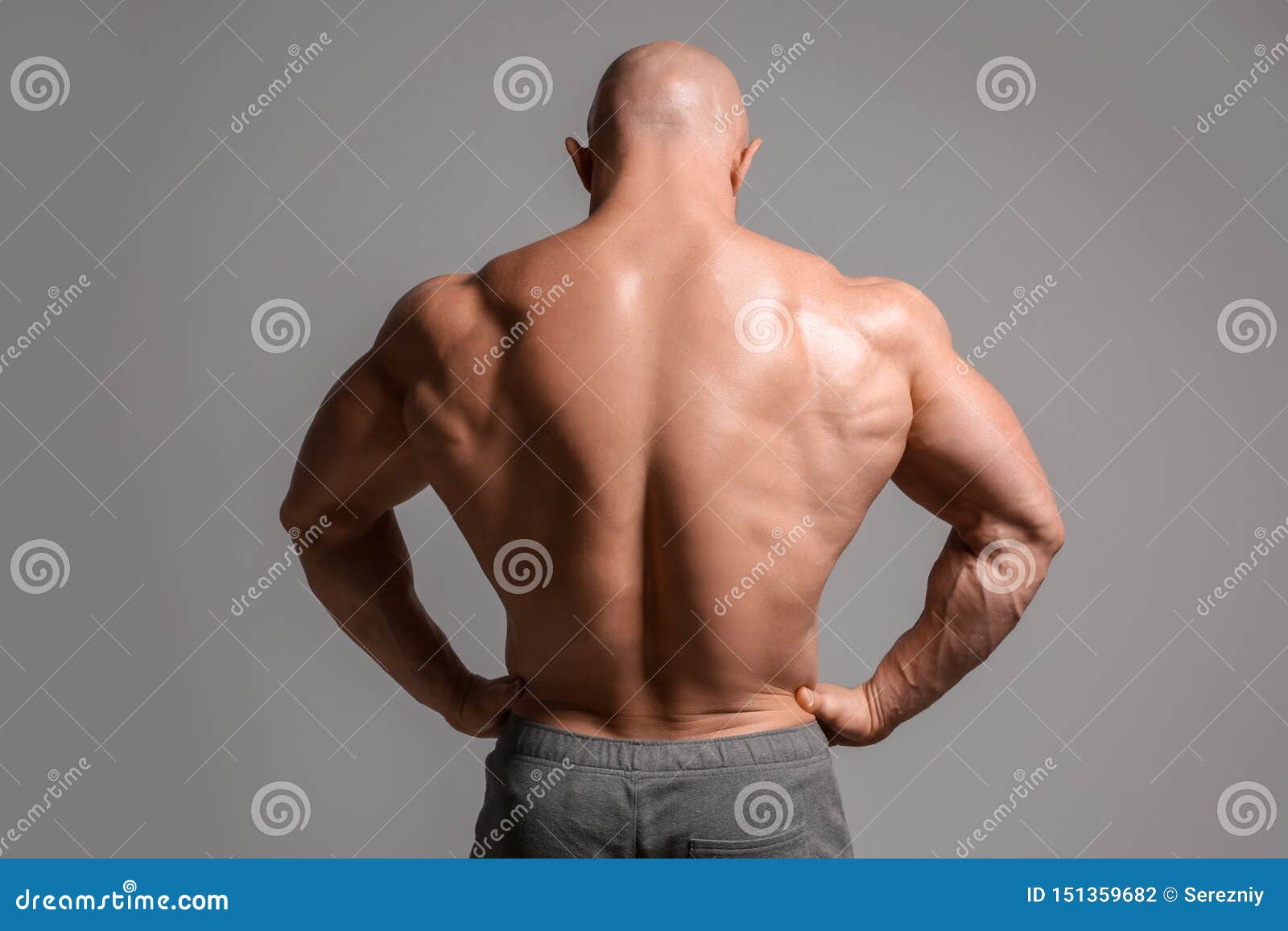 Muscular Bodybuilder on Grey Background Stock Photo - Image of muscular ...