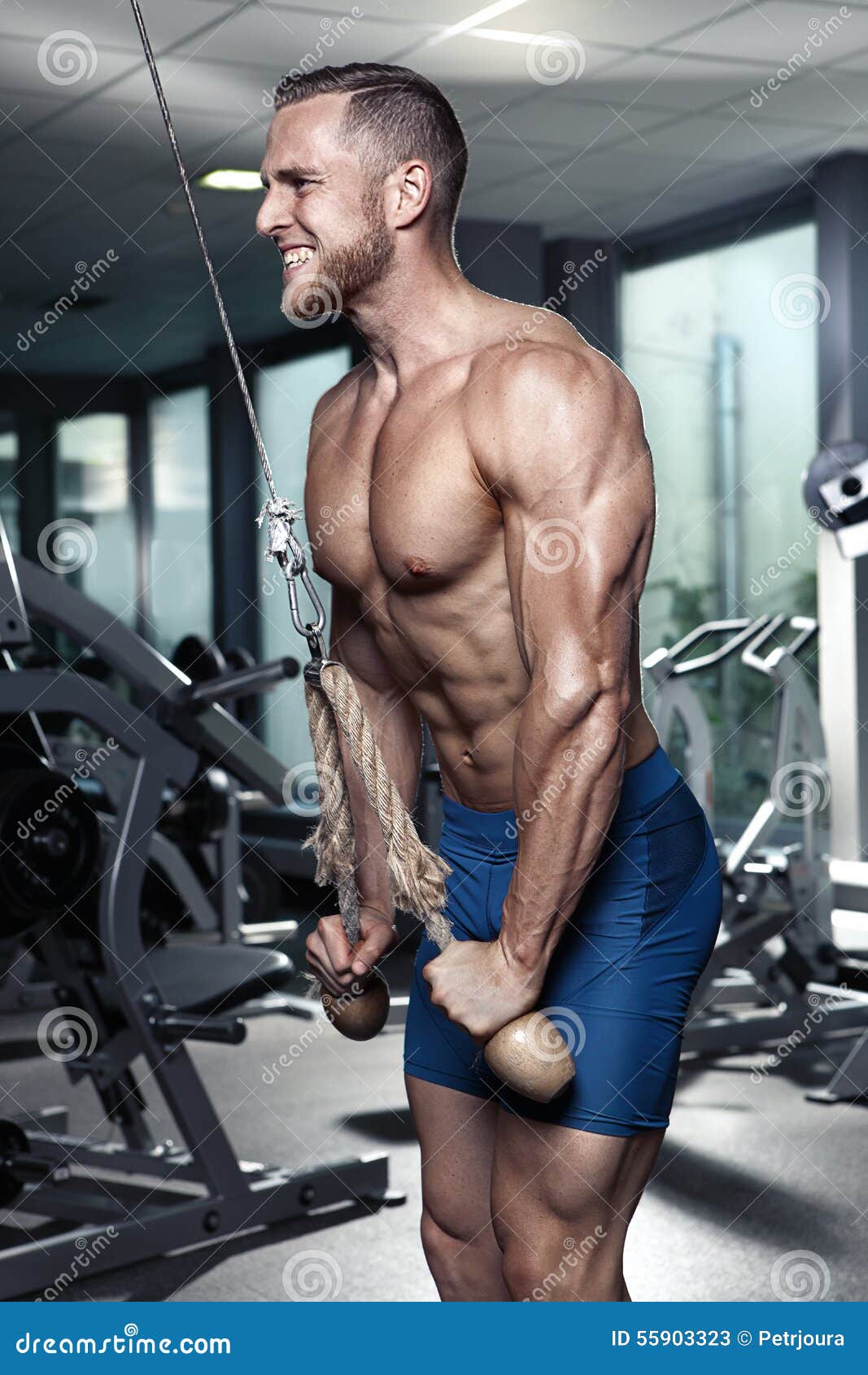 Muscular Bodybuilder Guy Doing Triceps Exercises Stock Image - Image of body, caucasian: 55903323