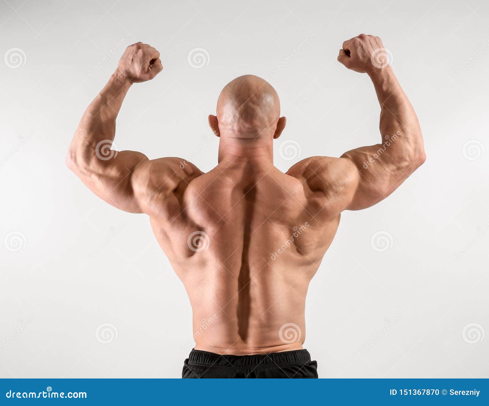 Muscular Bodybuilder on Light Background Stock Photo - Image of healthy ...