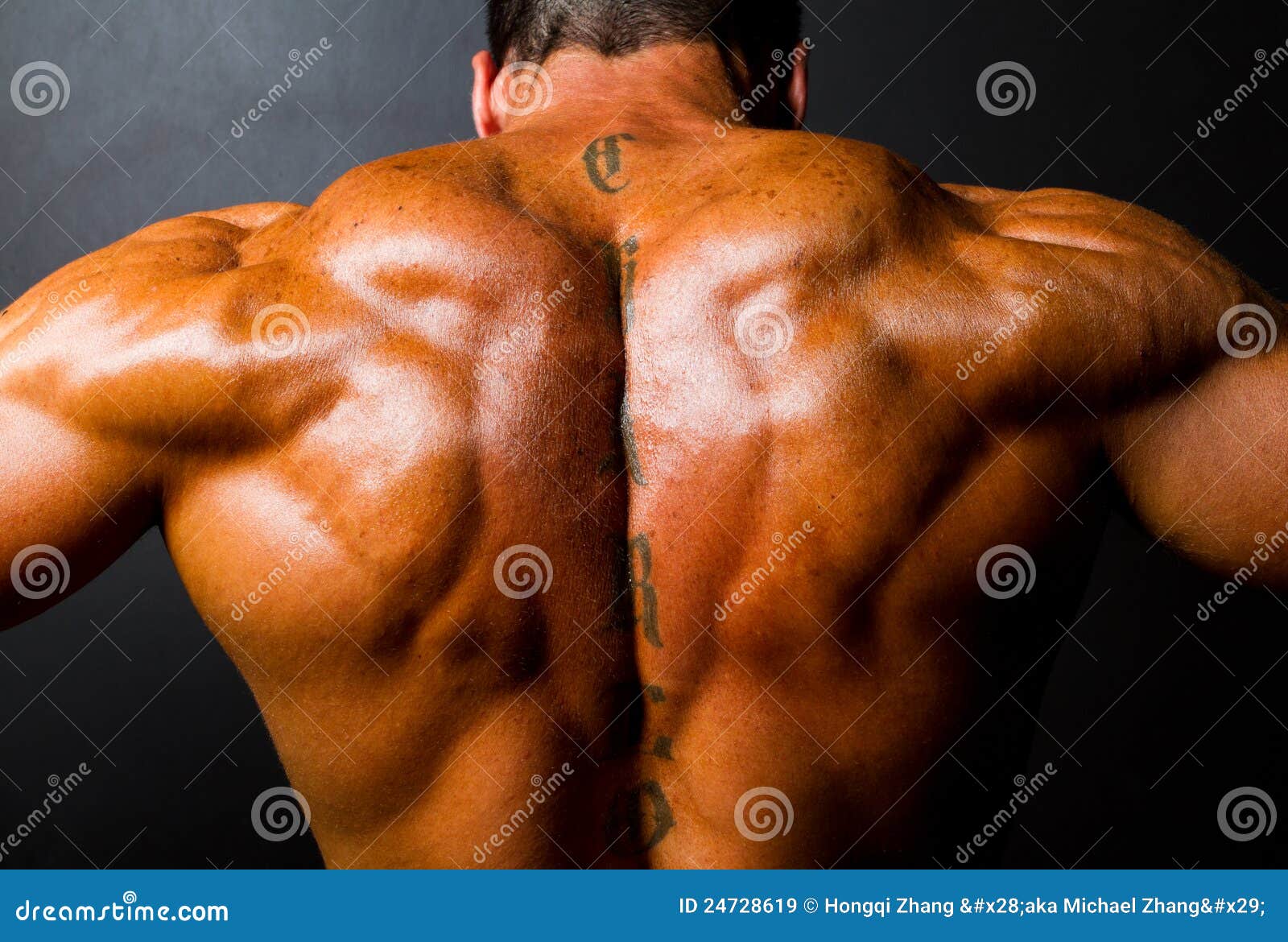 Muscular Bodybuilder S Back Stock Image - Image of back, builder: 24728619