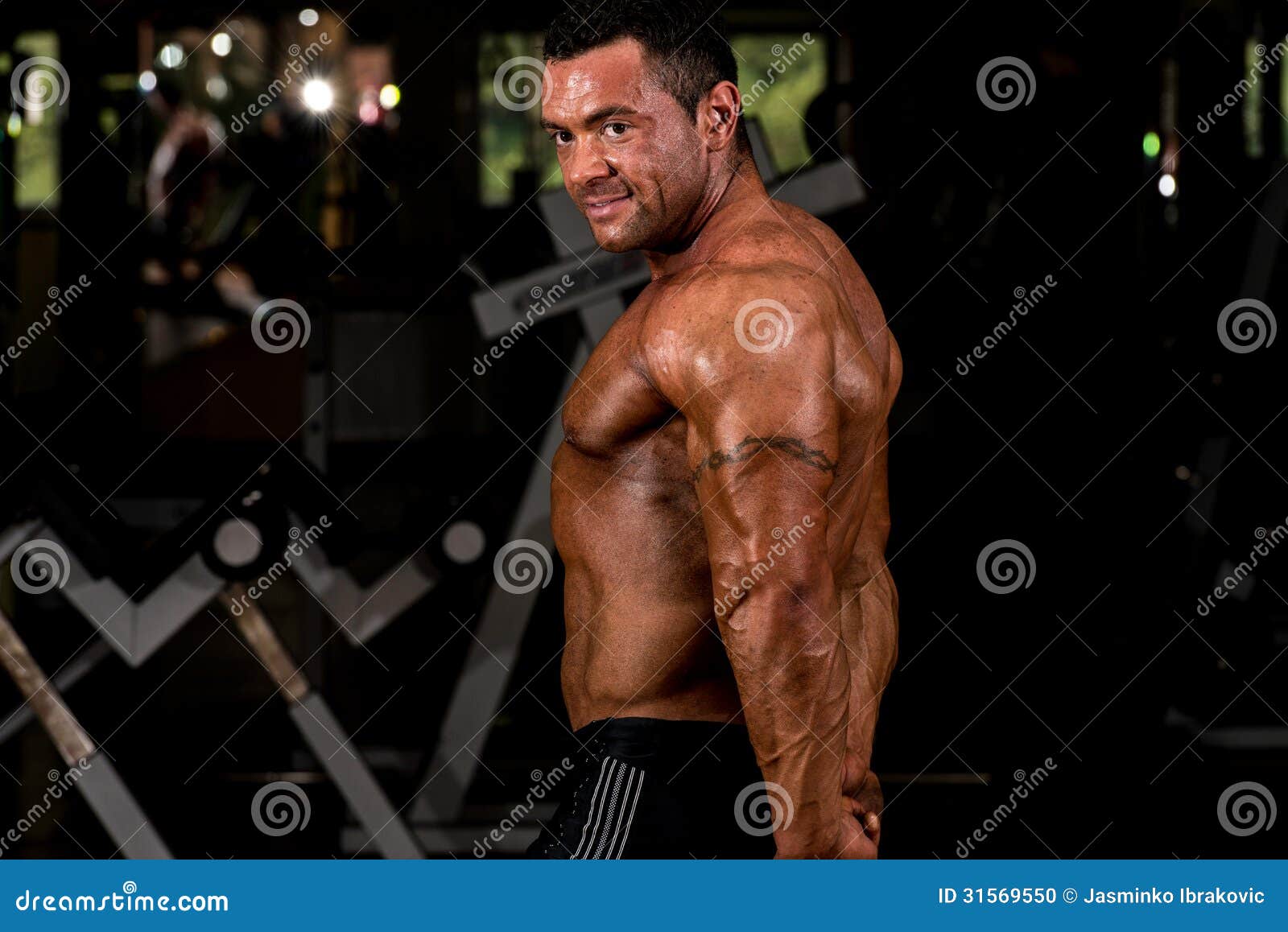 Muscular Bodybuilder Showing His Side Triceps Stock Photo - Image of ...