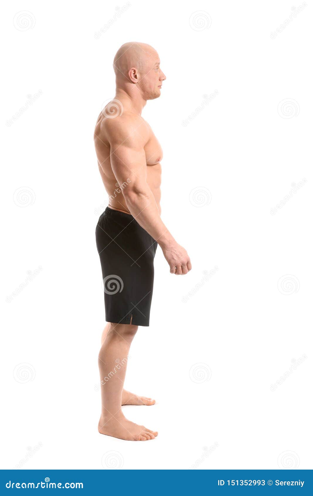 Muscular Bodybuilder on White Background Stock Image - Image of ...