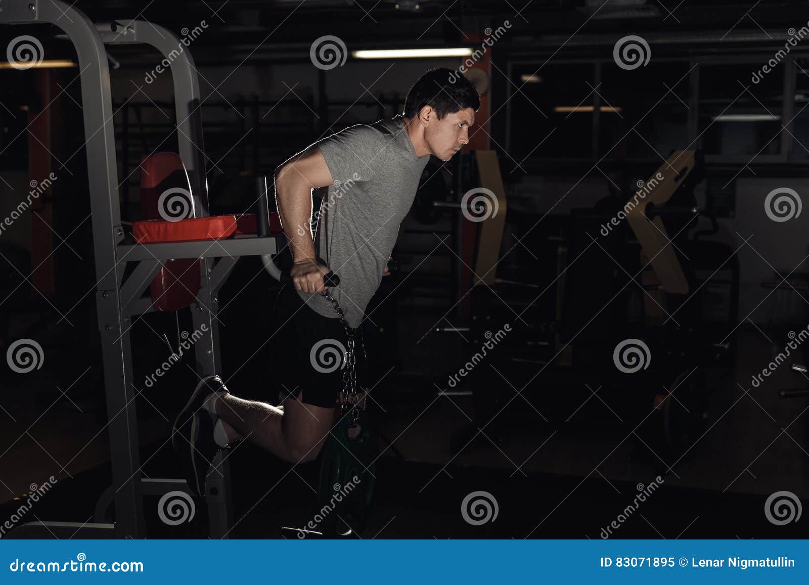 Muscular Bodybuilder Working Out in Gym Doing Exercises Parallel Bars ...
