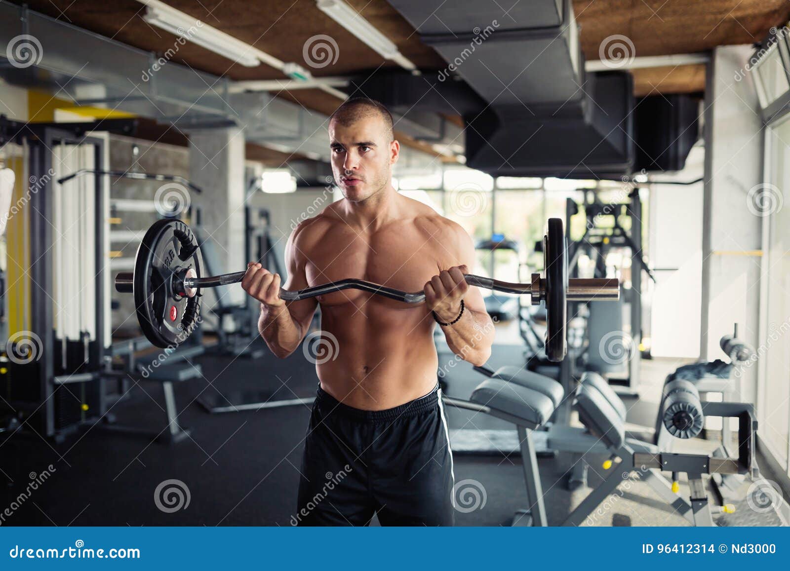 Muscular Bodybuilder Workout in Gym Doing Biceps Exercises Stock Photo ...
