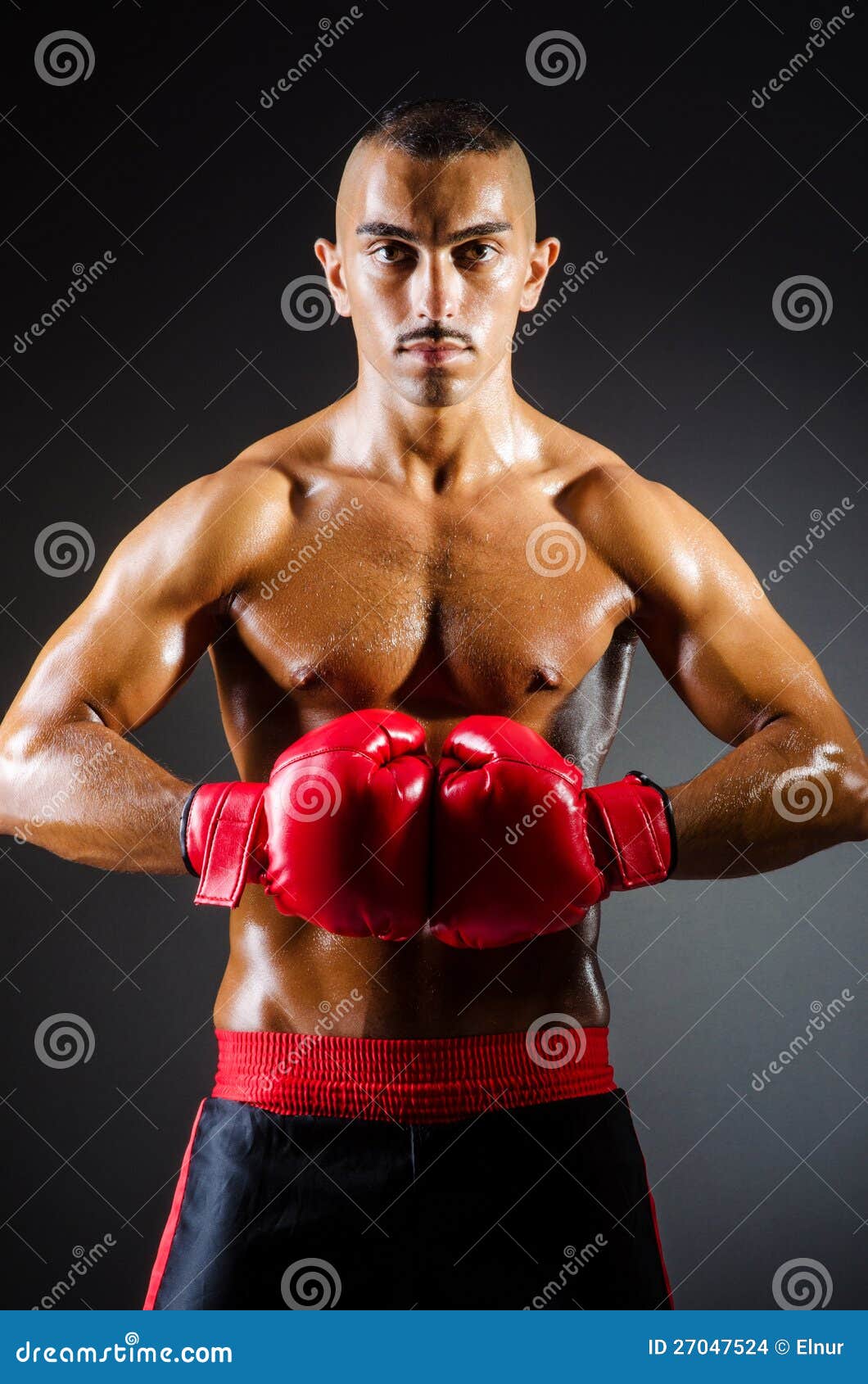 Muscular boxer in studio stock photo. Image of formal - 27047524