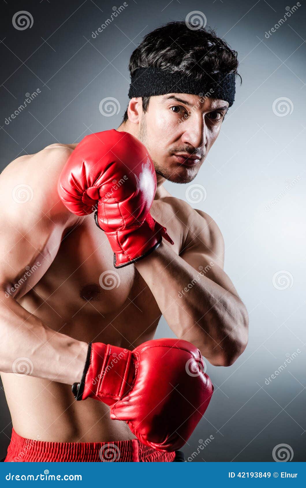 Muscular boxer stock image. Image of muscular, handsome - 42193849