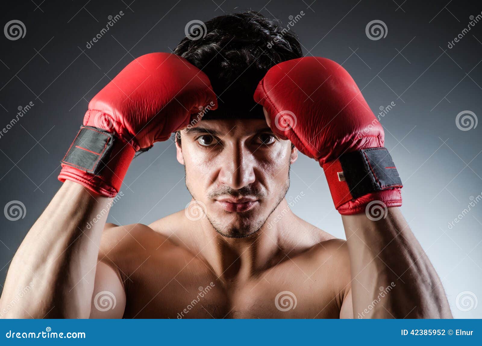 Muscular boxer stock photo. Image of male, fighter, bodybuilder - 42385952