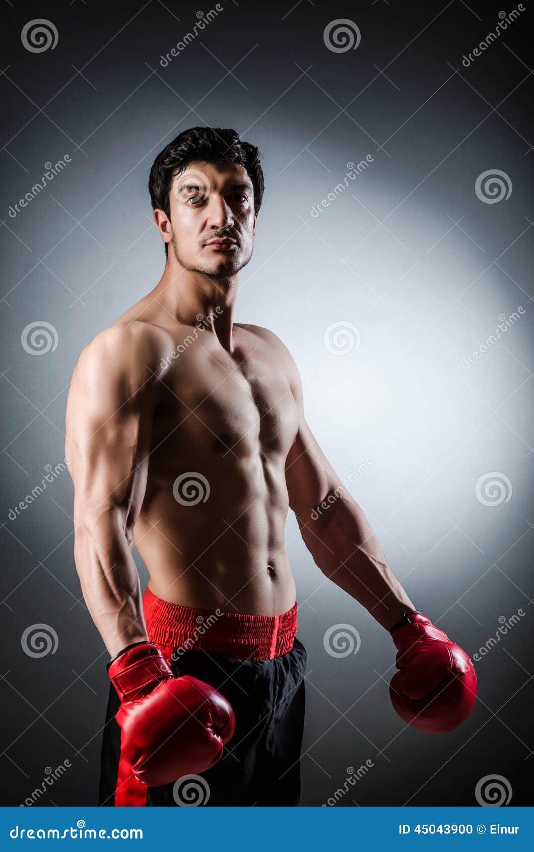 Muscular boxer stock photo. Image of hand, bodybuilder - 45043900
