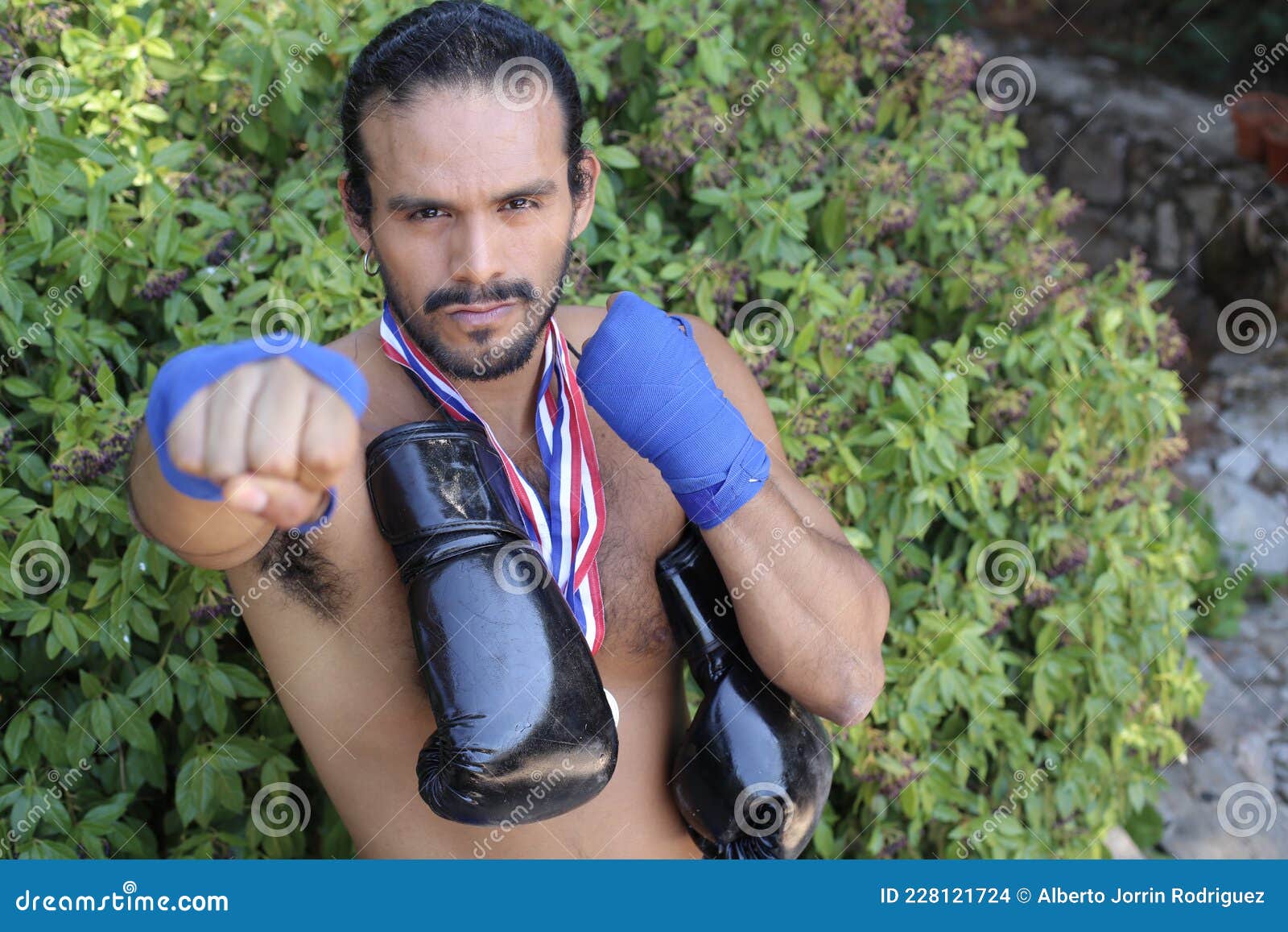 Muscular Boxer Winning a Prize Stock Photo - Image of muscular, fight ...