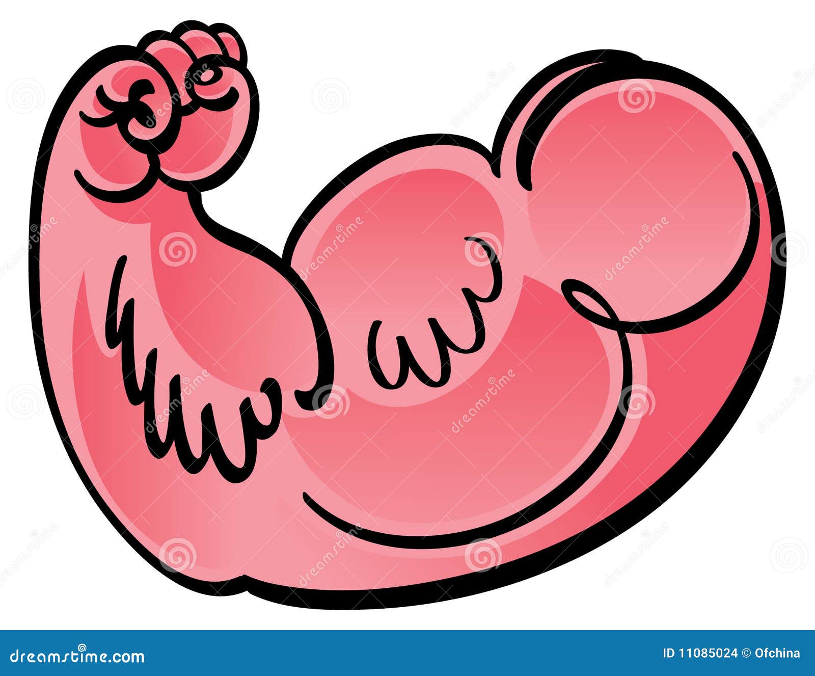 Muscular Hand stock vector. Illustration of secure, hand - 11085024