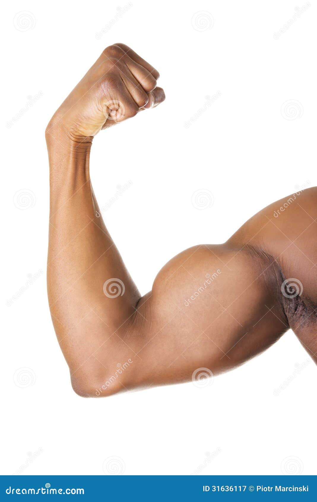 Muscular hand close up stock image. Image of attractive - 31636117