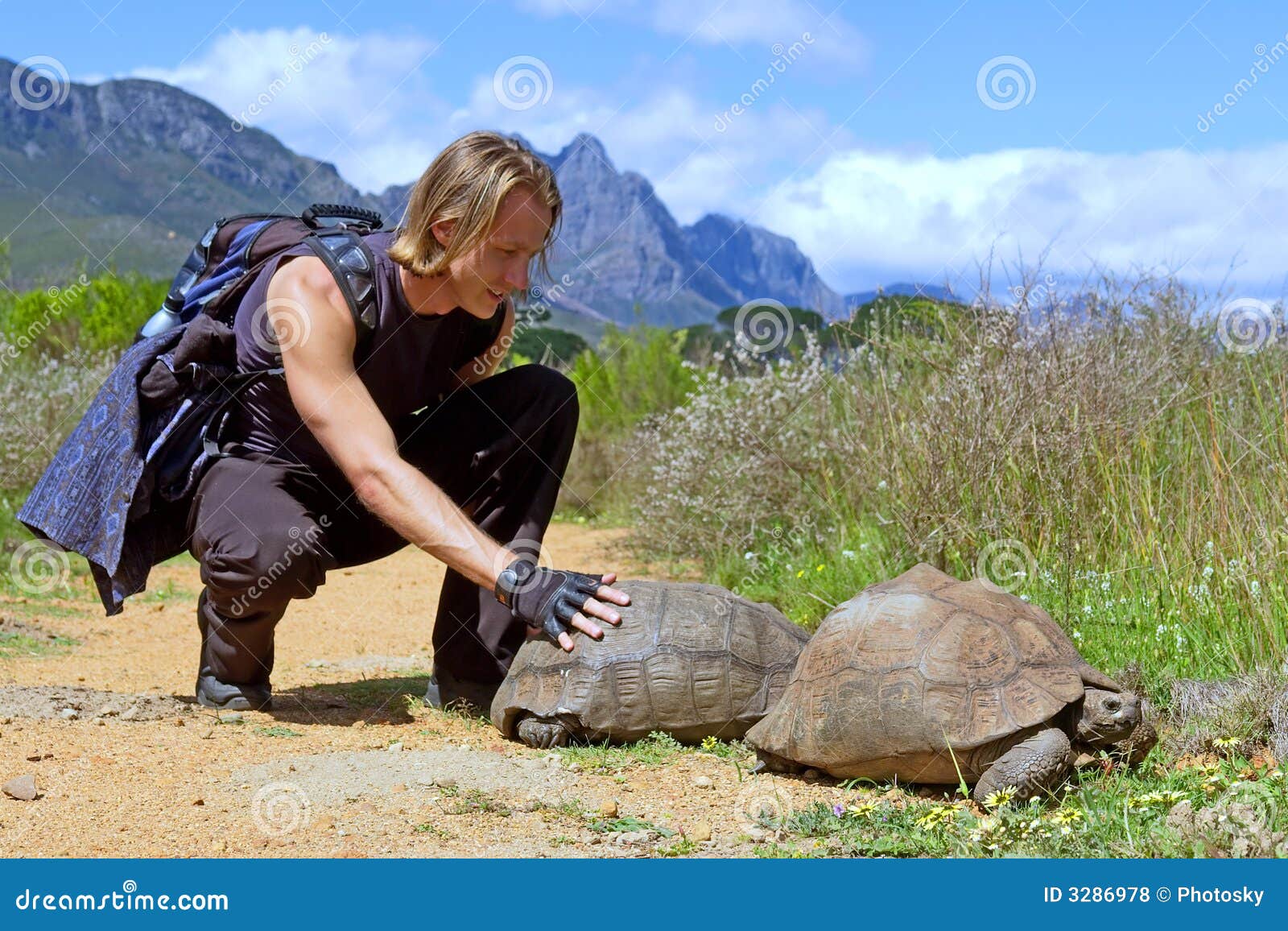Muscular Hiker Touches Turtle Stock Photo - Image of lizard, animal ...