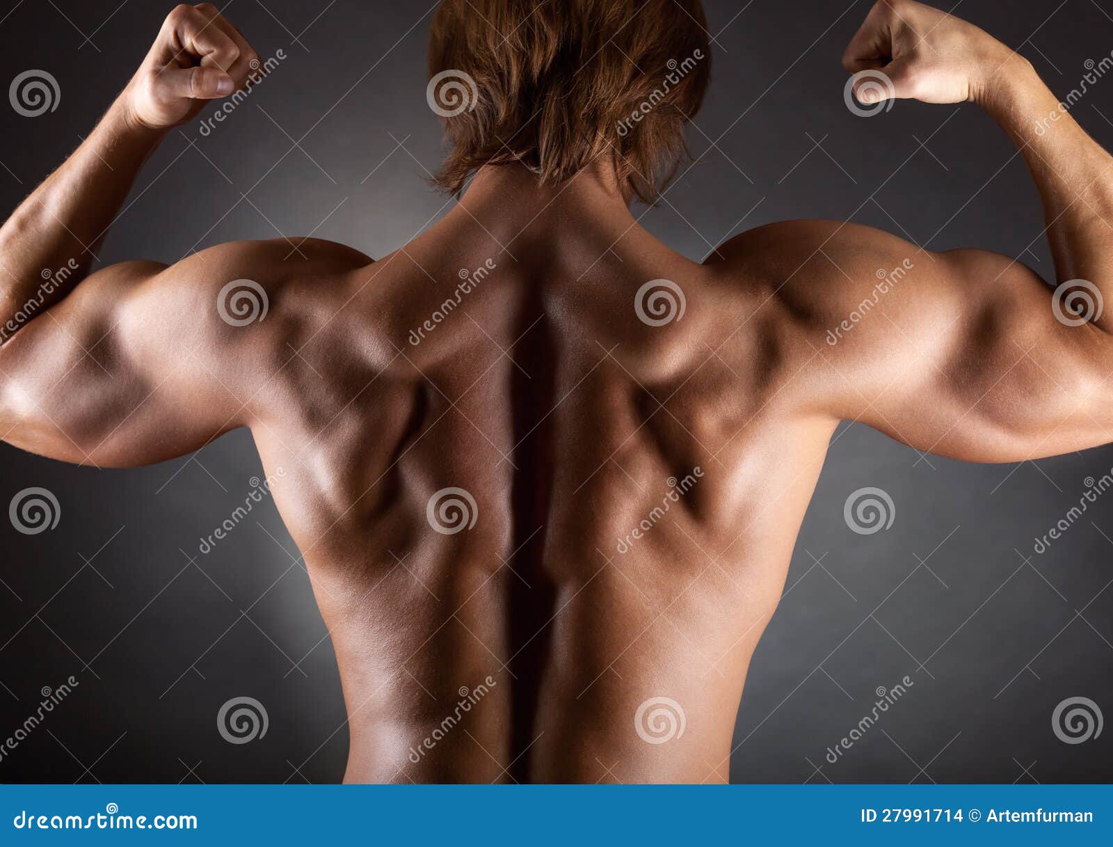 Muscular male back stock photo. Image of fist, exercise - 27991714