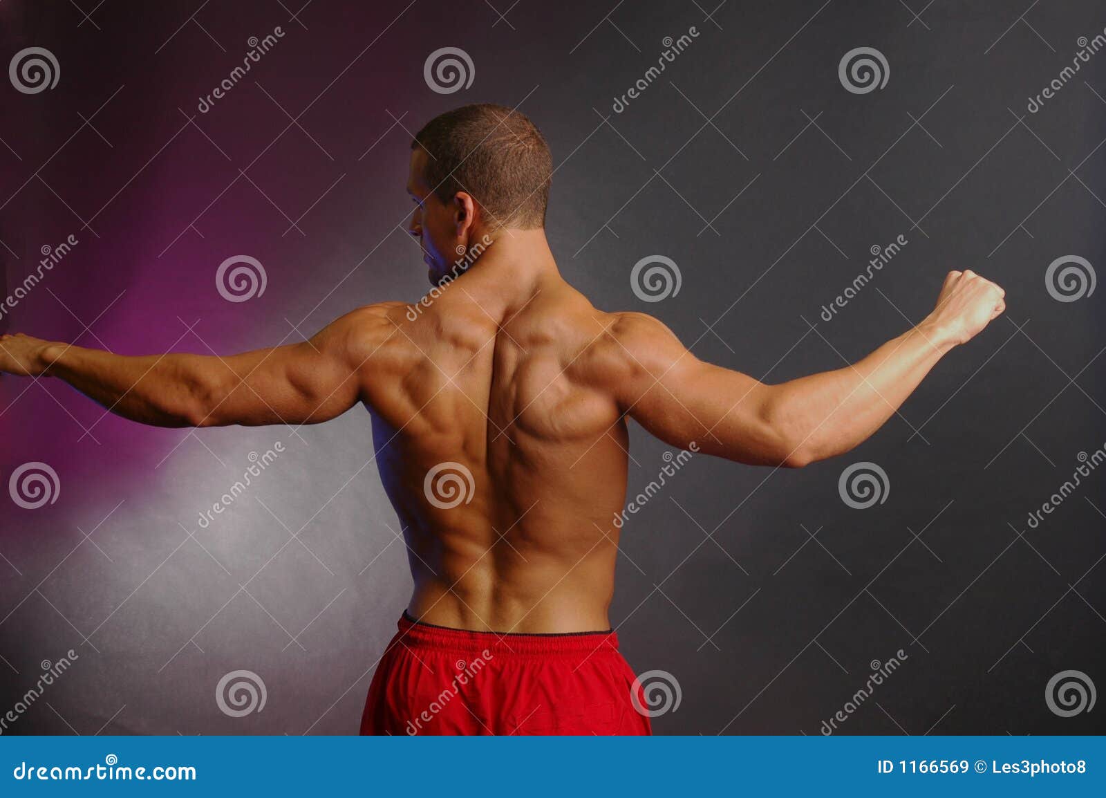 Male Back Reference