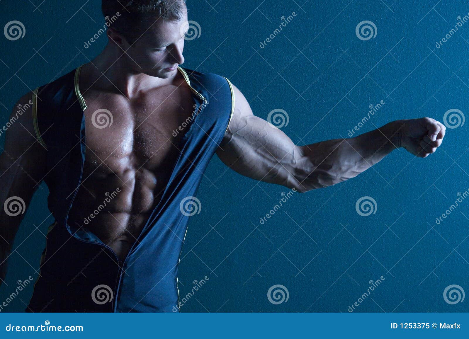 Muscular male body builder stock image. Image of builder - 1253375