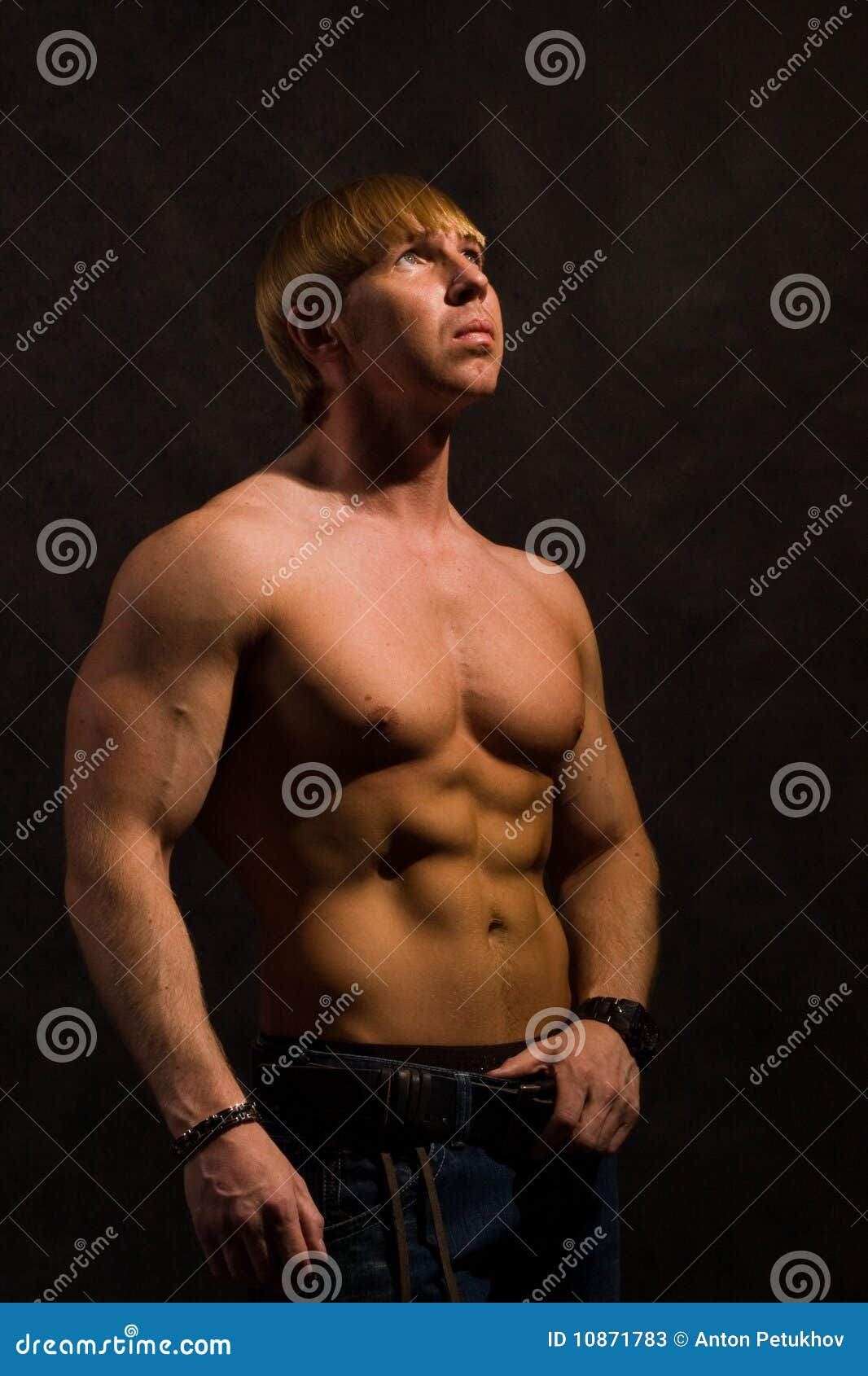 Male Chest Muscles