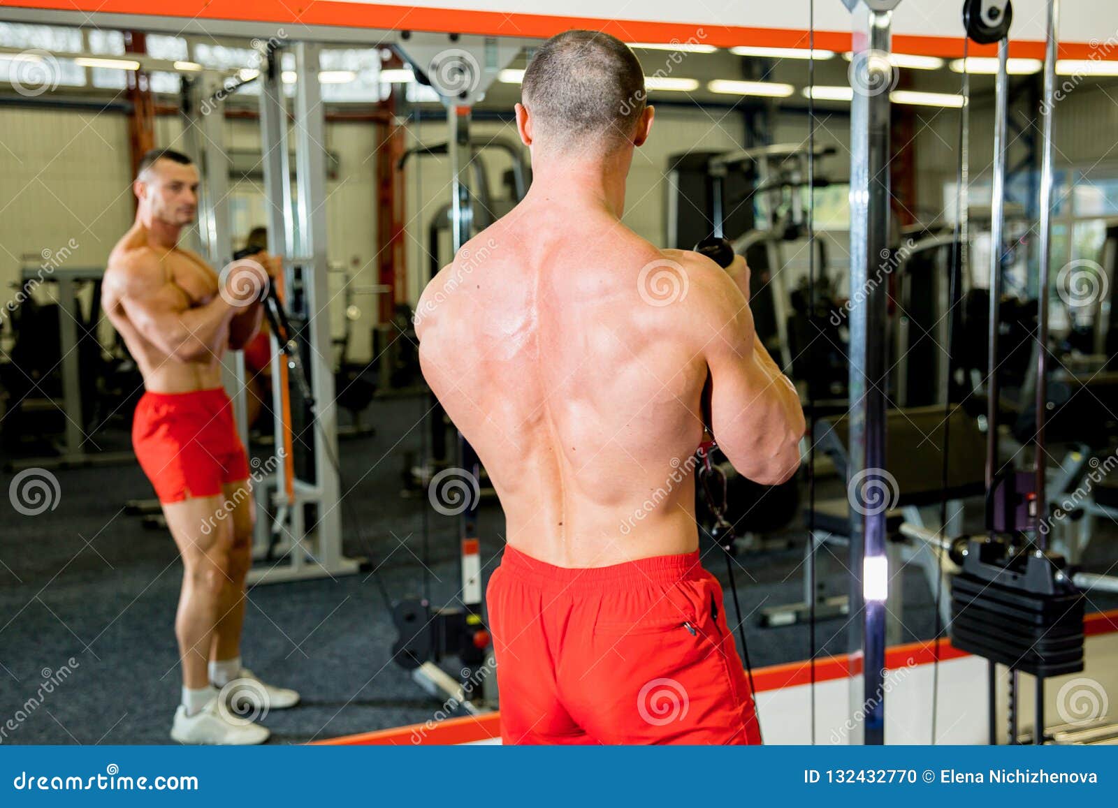Male Bodybuilder Doing Exercises in a Gym Stock Photo - Image of ...