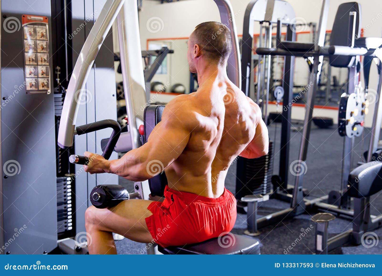 Male Bodybuilder Doing Exercises in a Gym Stock Image - Image of ...
