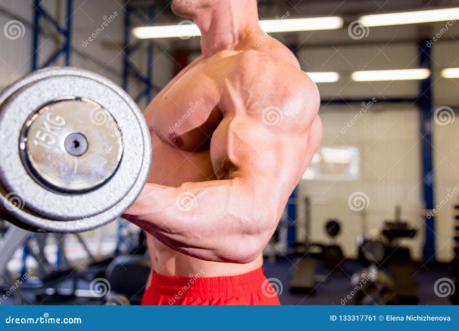Male Bodybuilder Doing Exercises in a Gym Stock Image - Image of body ...