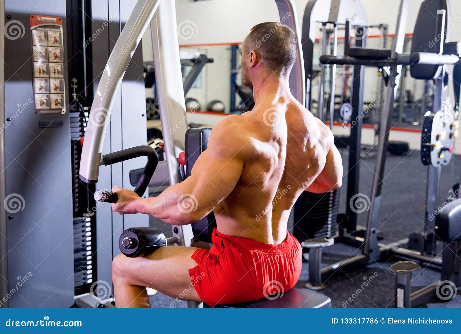 Male Bodybuilder Doing Exercises in a Gym Stock Photo - Image of power ...