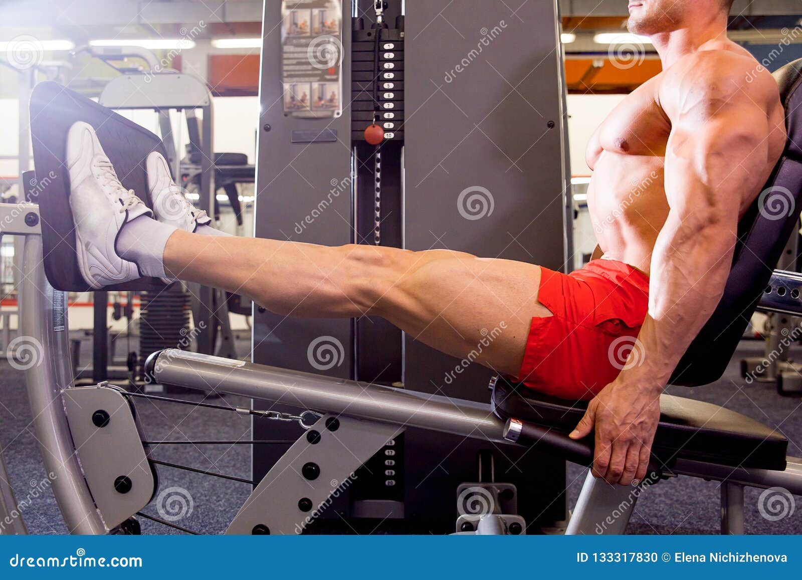 Male Bodybuilder Doing Exercises in a Gym Stock Photo - Image of sport ...