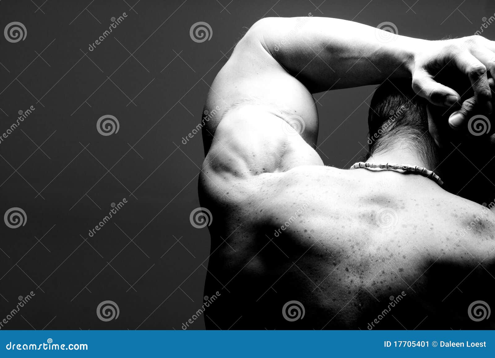 Muscular Male Shoulder Back Stock Image - Image of male, adult: 17705401