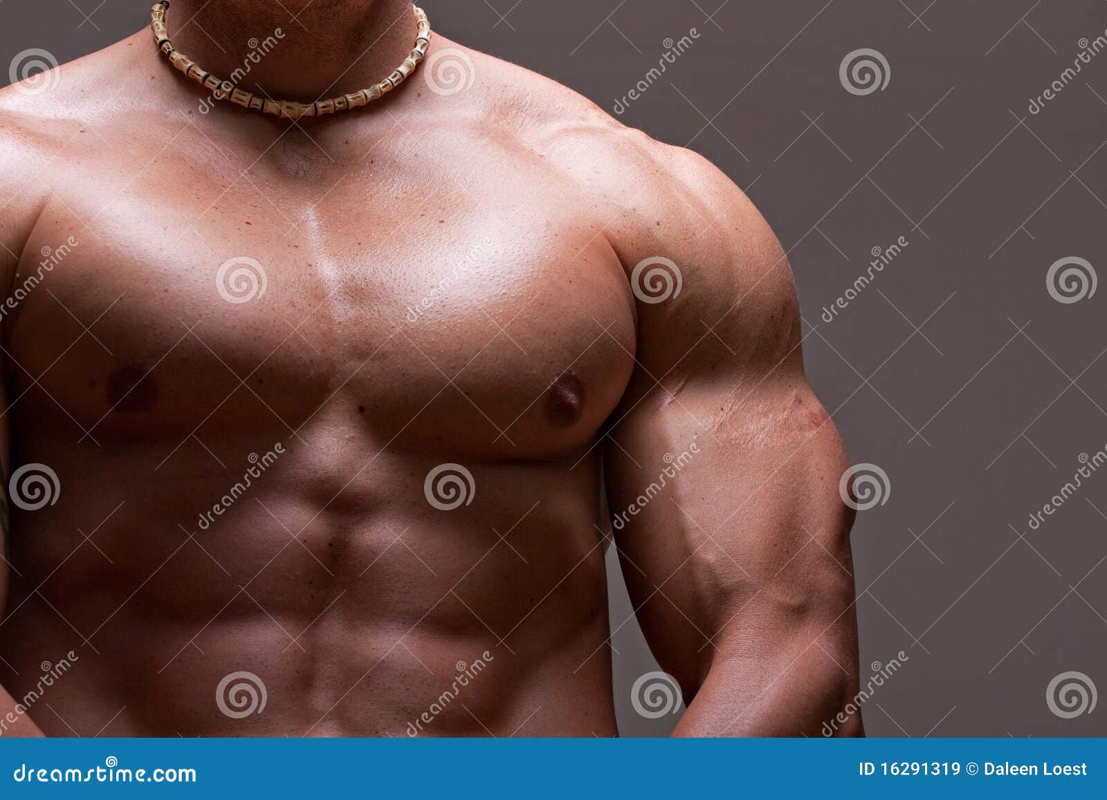 Muscular male torso stock image. Image of health, gorgeous - 16291319
