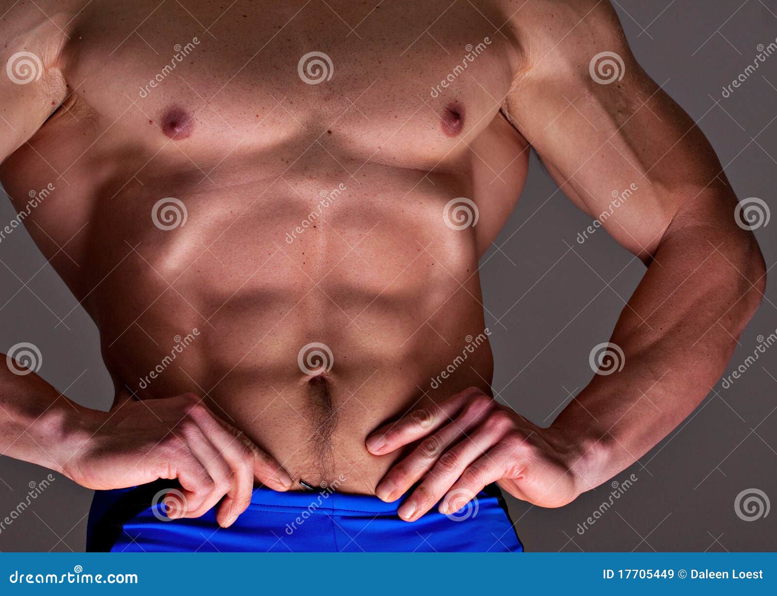 Muscular Male Torso Picture. Image: 17705449