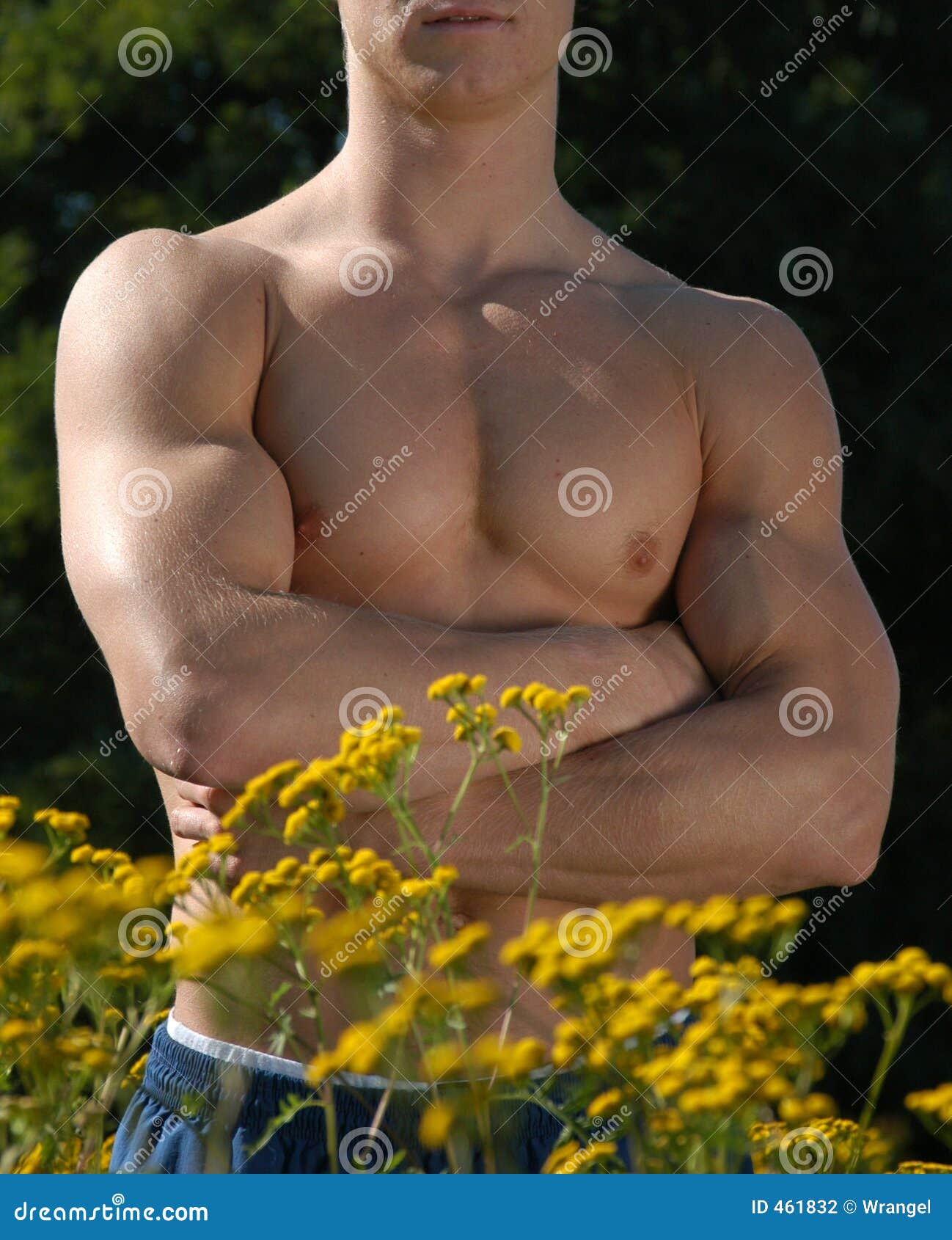 Muscular Male Torso stock photo. Image of fitness, handsome - 461832