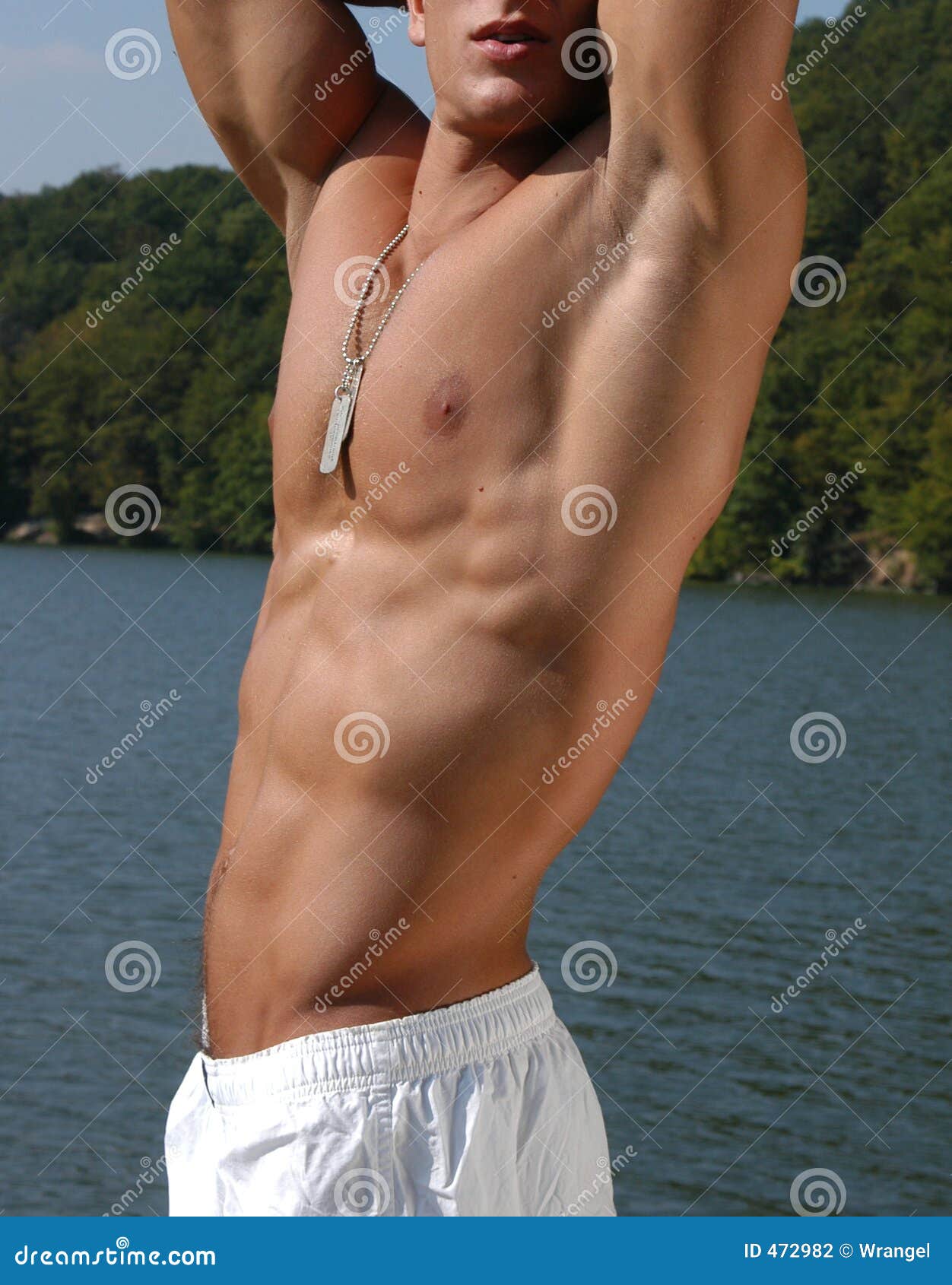Muscular Male Torso stock photo. Image of gorgeous, athlete - 472982