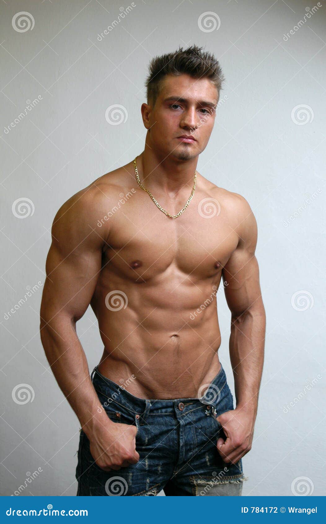 Muscular Male Torso stock photo. Image of fitness, exercise - 784172