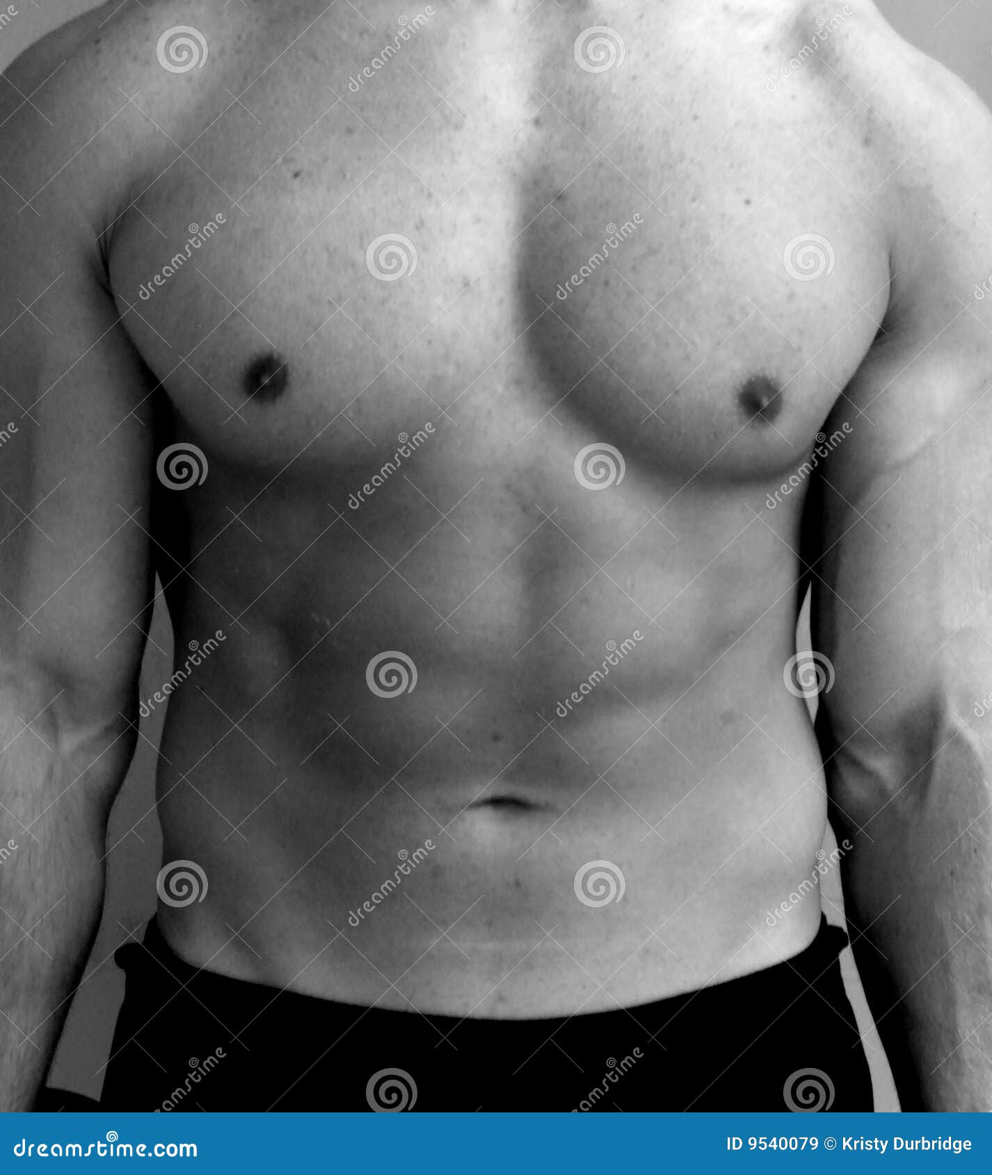 Muscular Man stock image. Image of strong, torso, white - 9540079