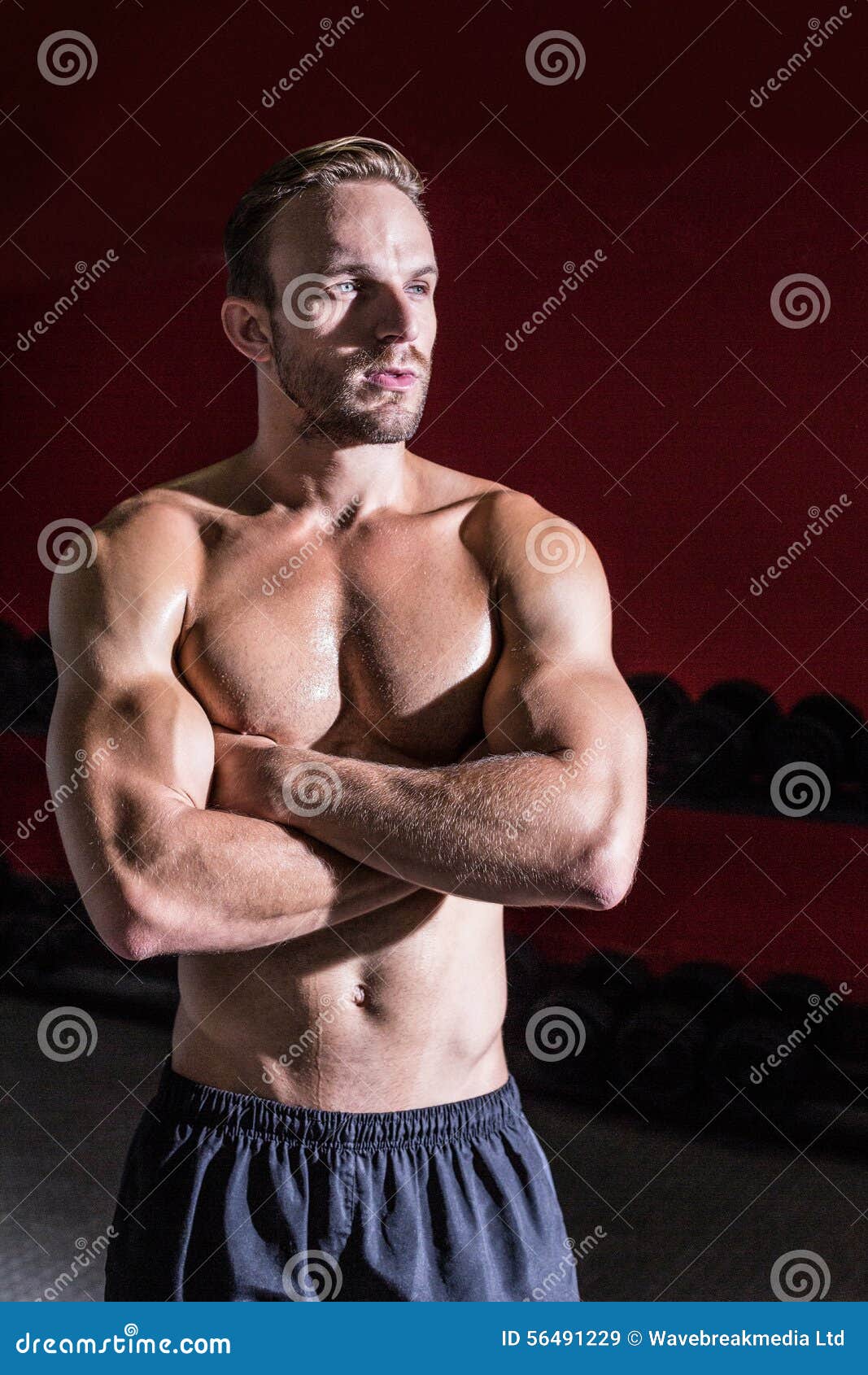 Muscular Man with Arms Crossed Stock Image - Image of adult, club: 56491229