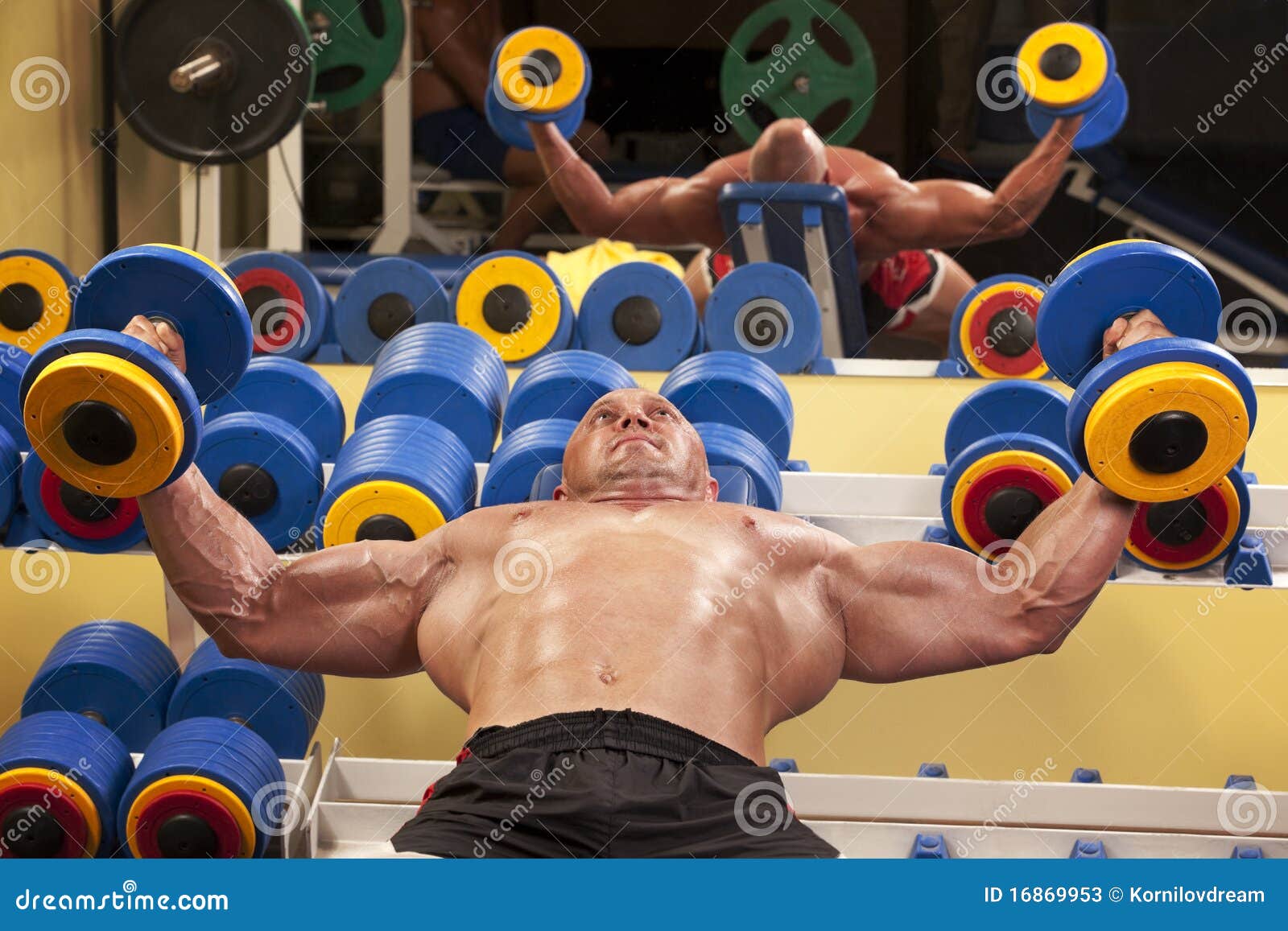 Muscular Man Bar Weights Hands Training Stock Photos - Free & Royalty ...