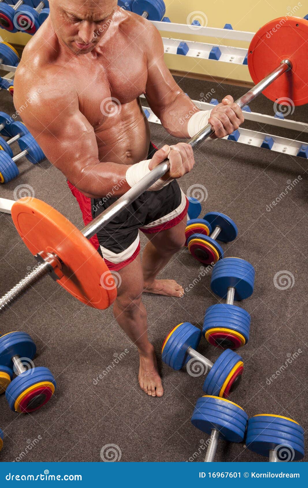 Muscular Man with a Bar Weights in Hands Training Stock Image - Image ...