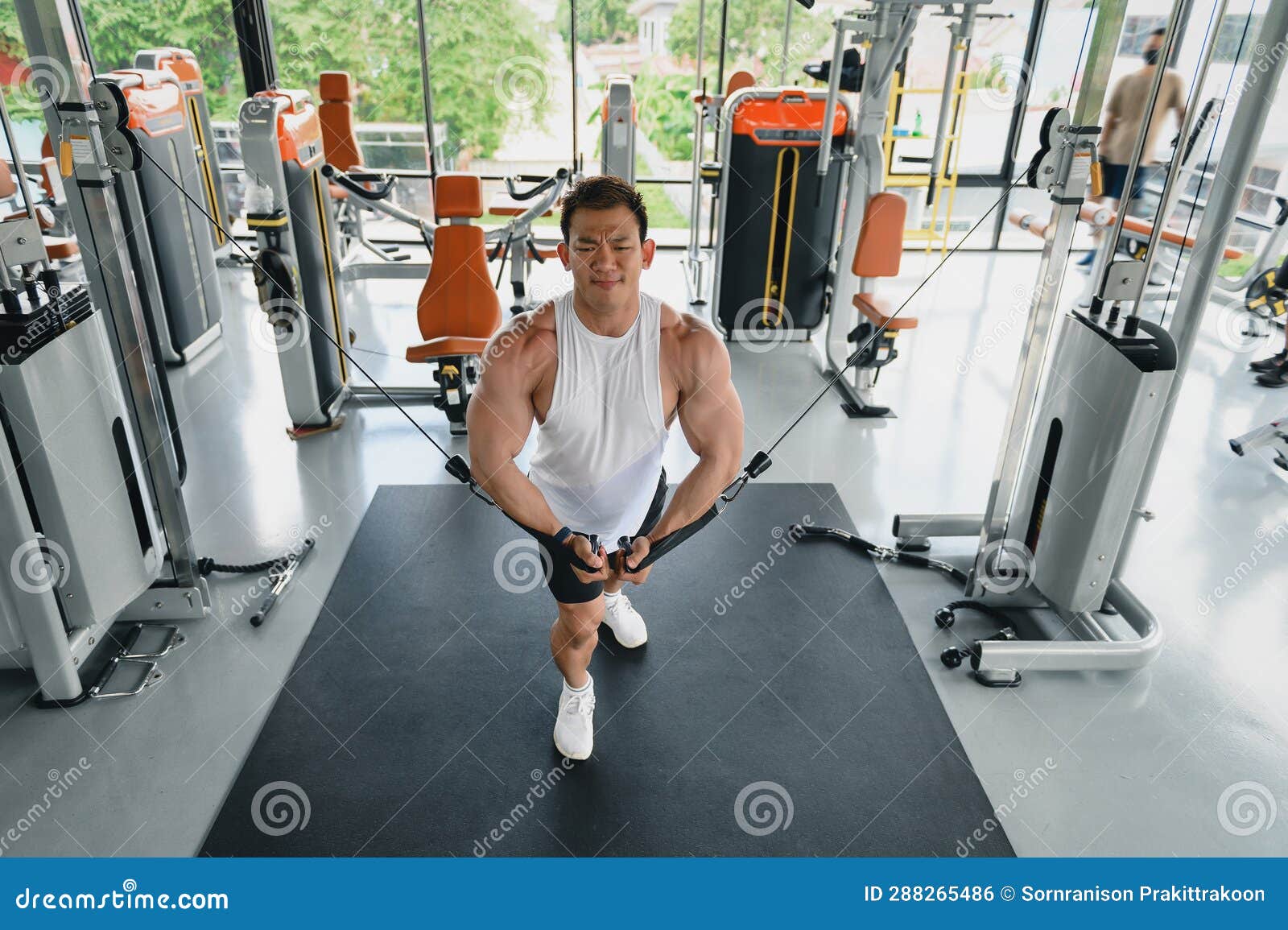 Muscular Man, Bodybuilder Asian Man Workout Doing Cable Rope Pushdowns ...