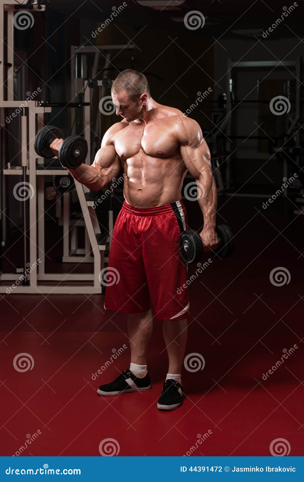 Muscular Man Doing Heavy Weight Exercise for Biceps Stock Photo - Image ...