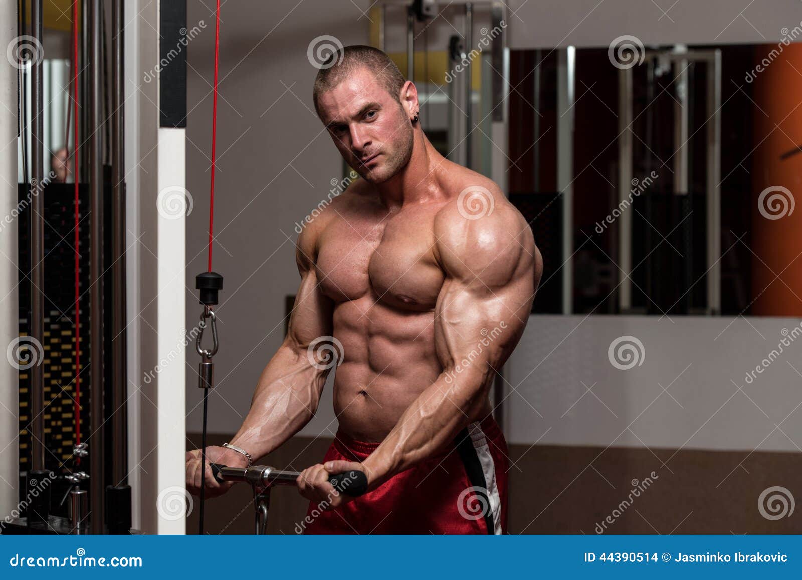 Muscular Man Doing Heavy Weight Exercise for Biceps Stock Photo - Image ...