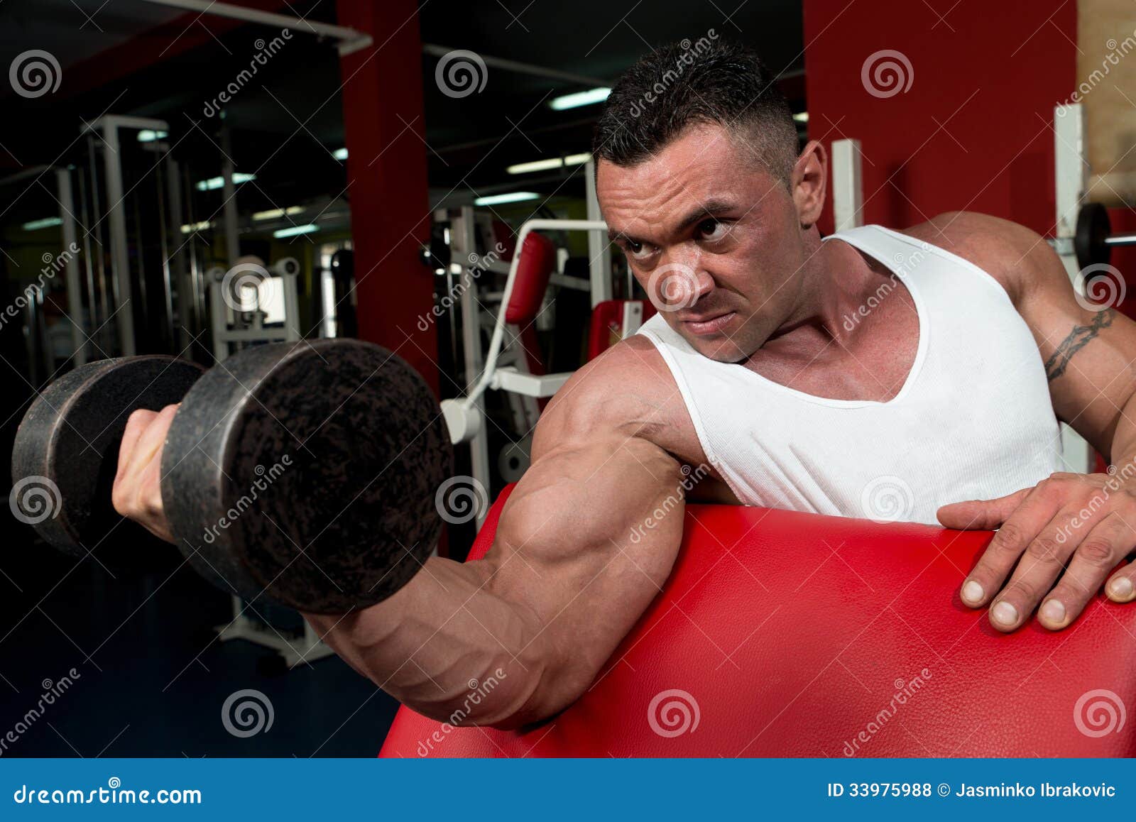 Muscular Man Exercising in Gym Stock Photo - Image of exercises, muscle ...