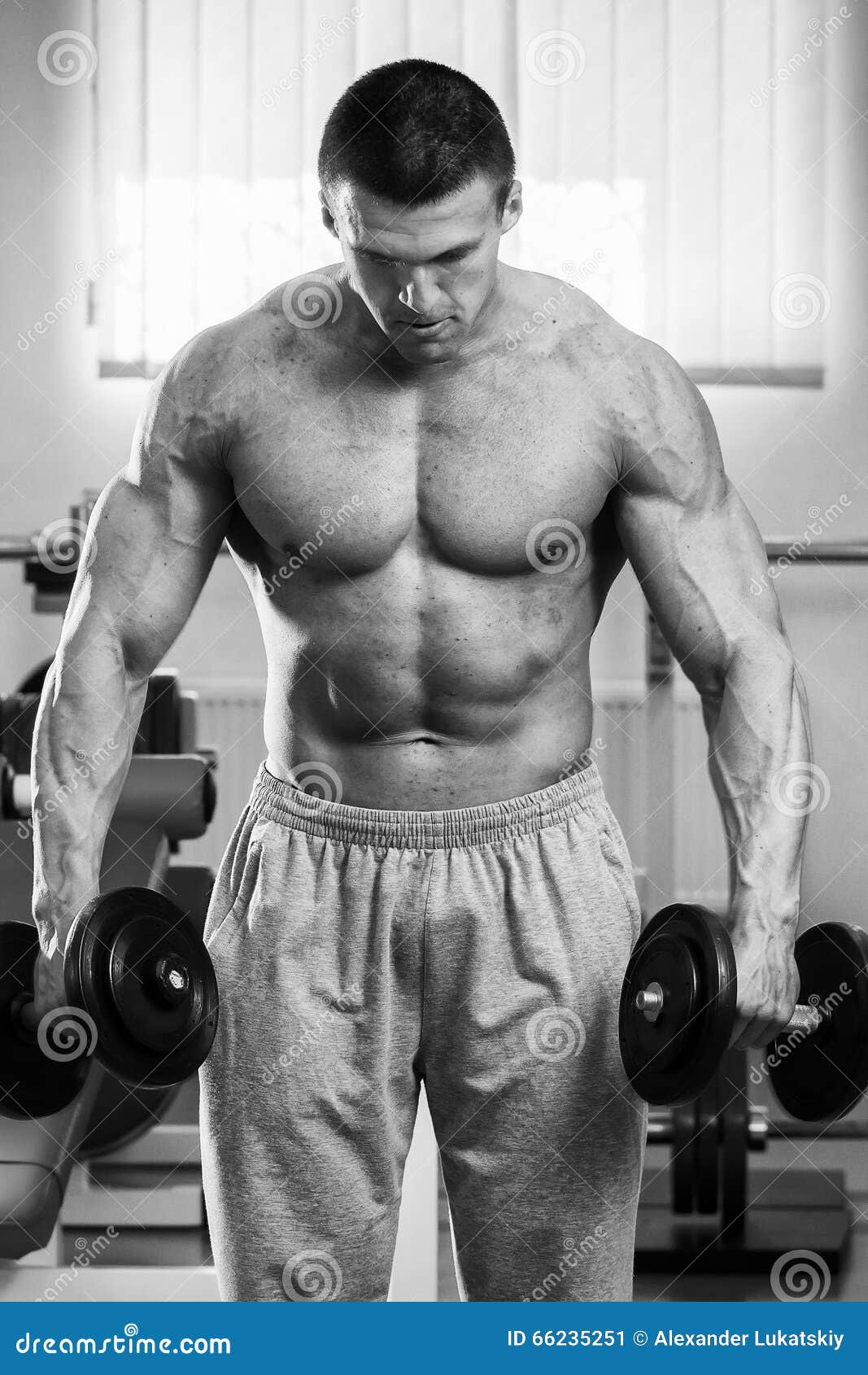 Muscular Man in the Gym Performing the Exercise Stock Image - Image of ...