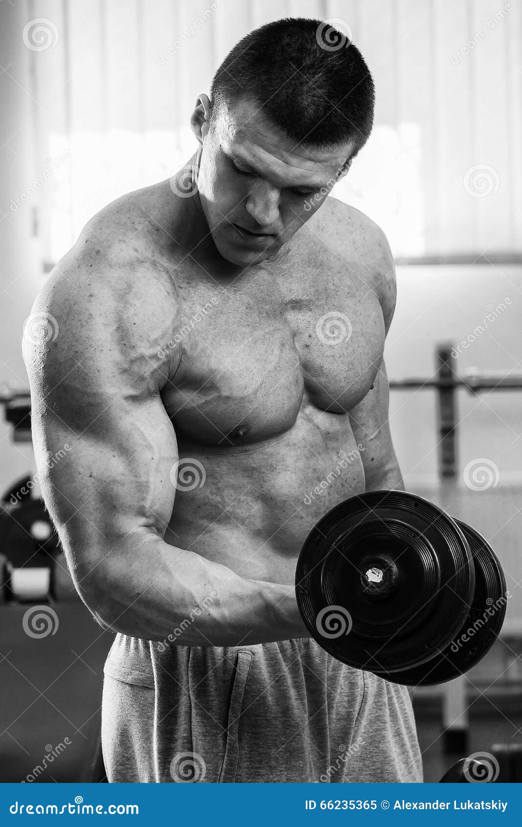 Muscular Man in the Gym Performing the Exercise Stock Image - Image of ...