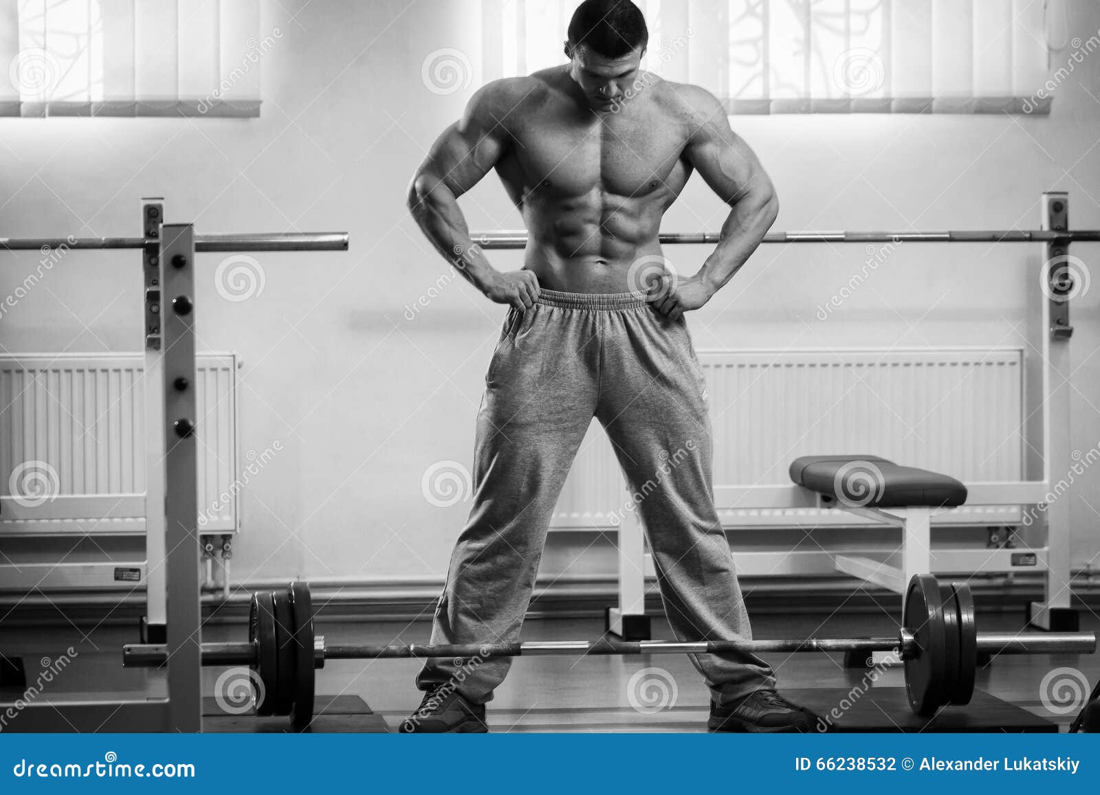 Muscular Man in the Gym Performing the Exercise Stock Photo - Image of ...
