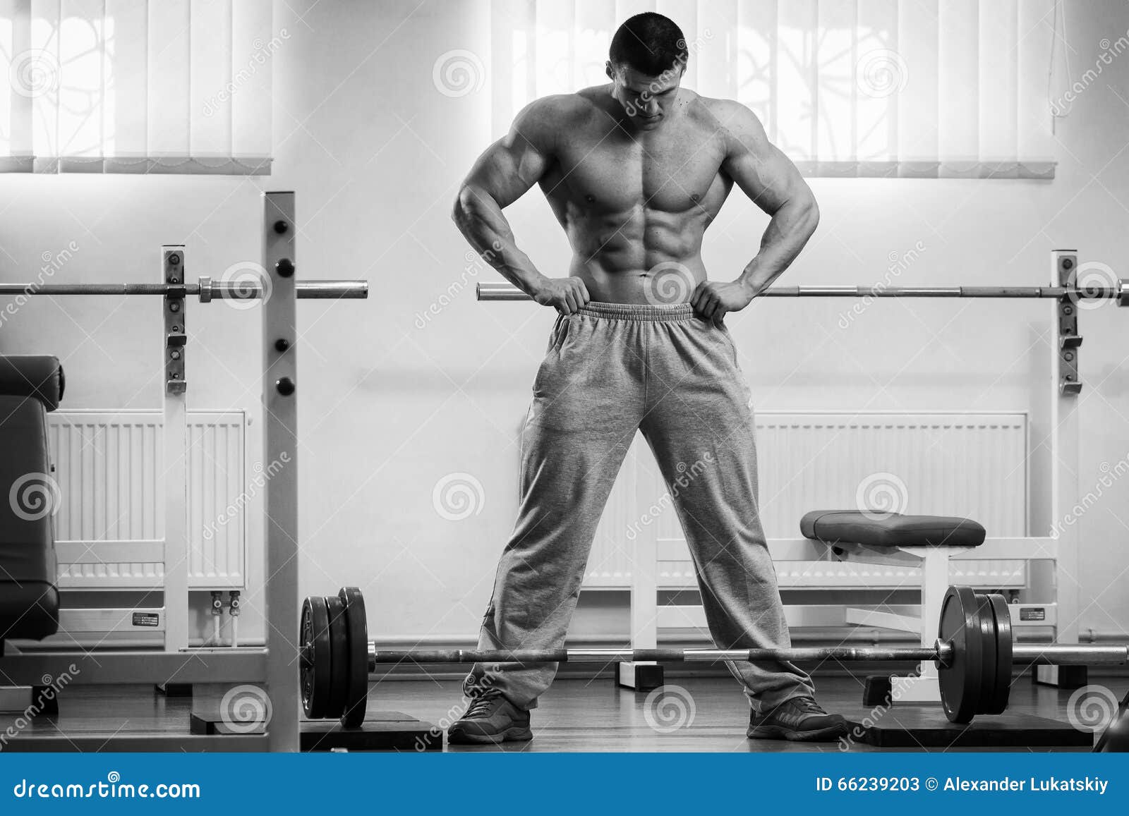 Muscular Man in the Gym Performing the Exercise Stock Image - Image of ...