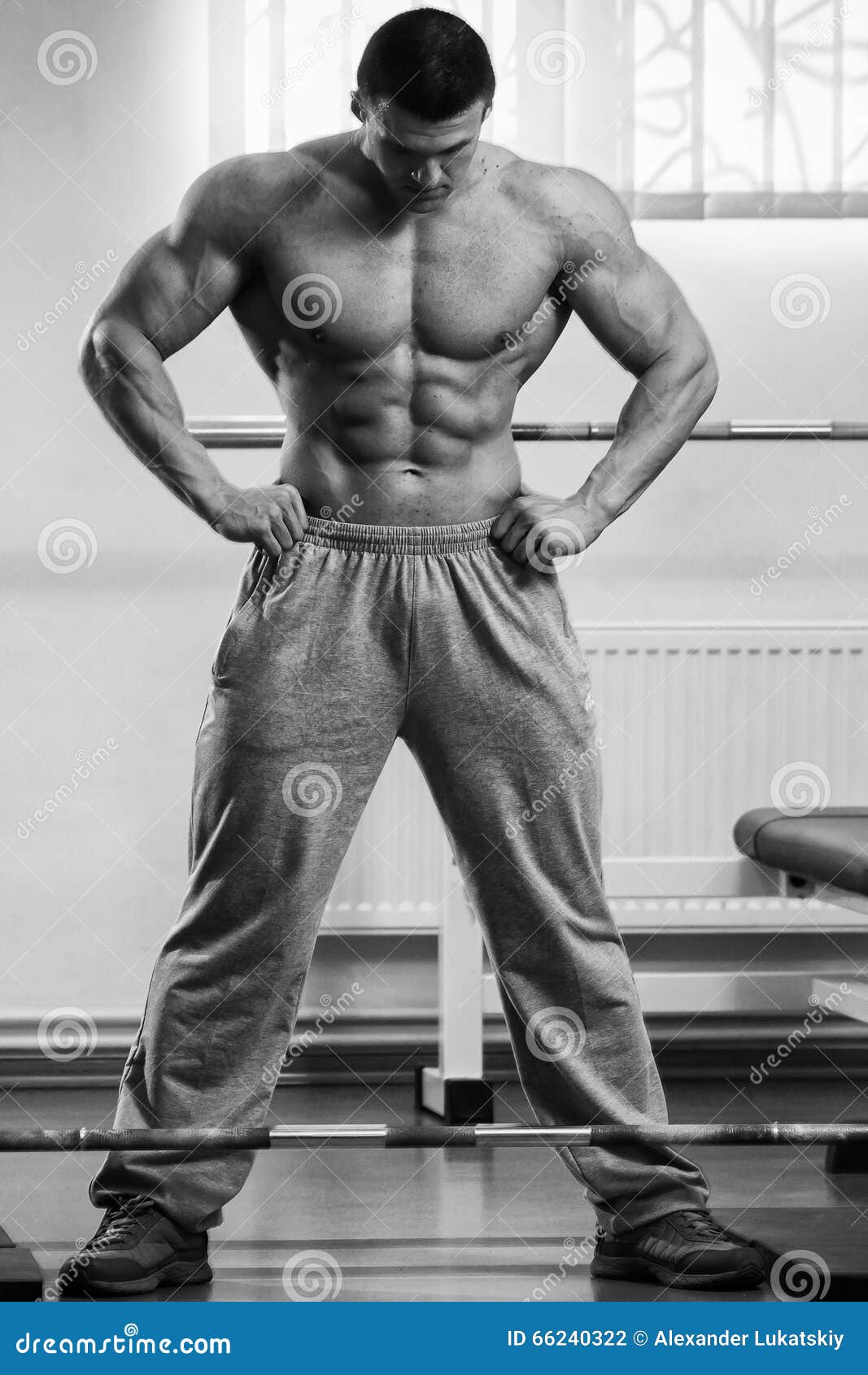 Muscular Man in the Gym Performing the Exercise Stock Photo - Image of ...