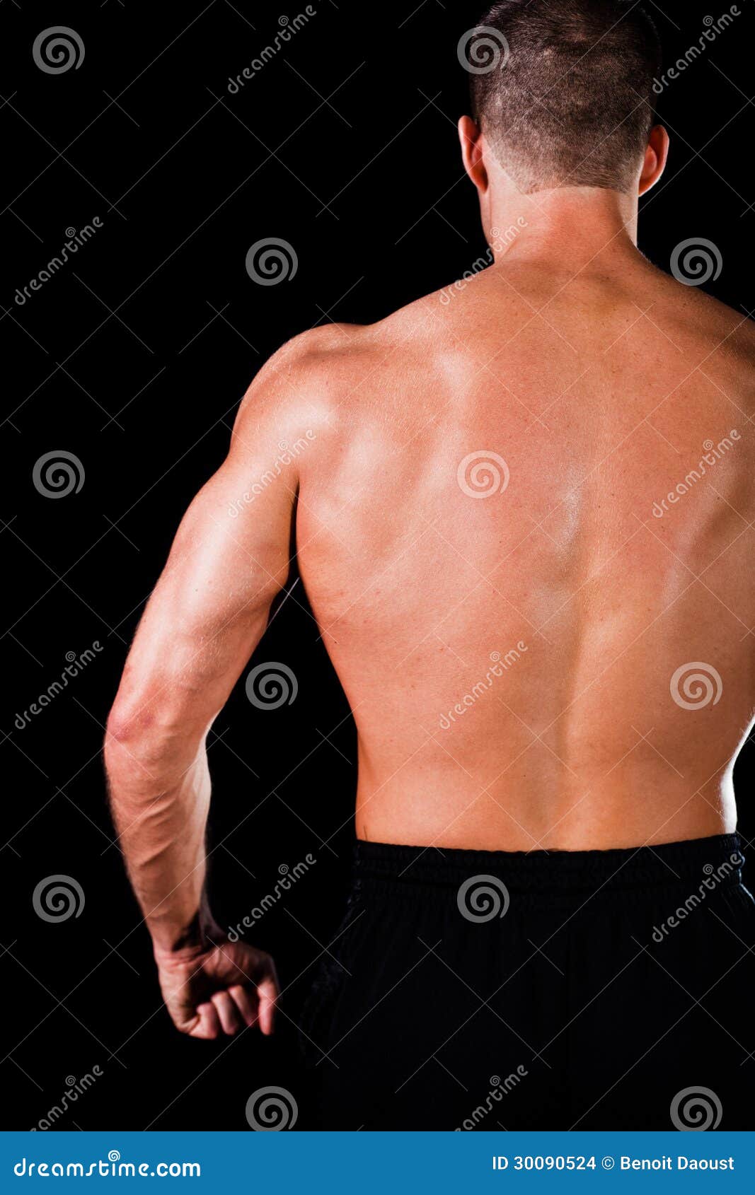 Muscular Bodybuilder S Back Stock Photo - Image of exercise, shape ...