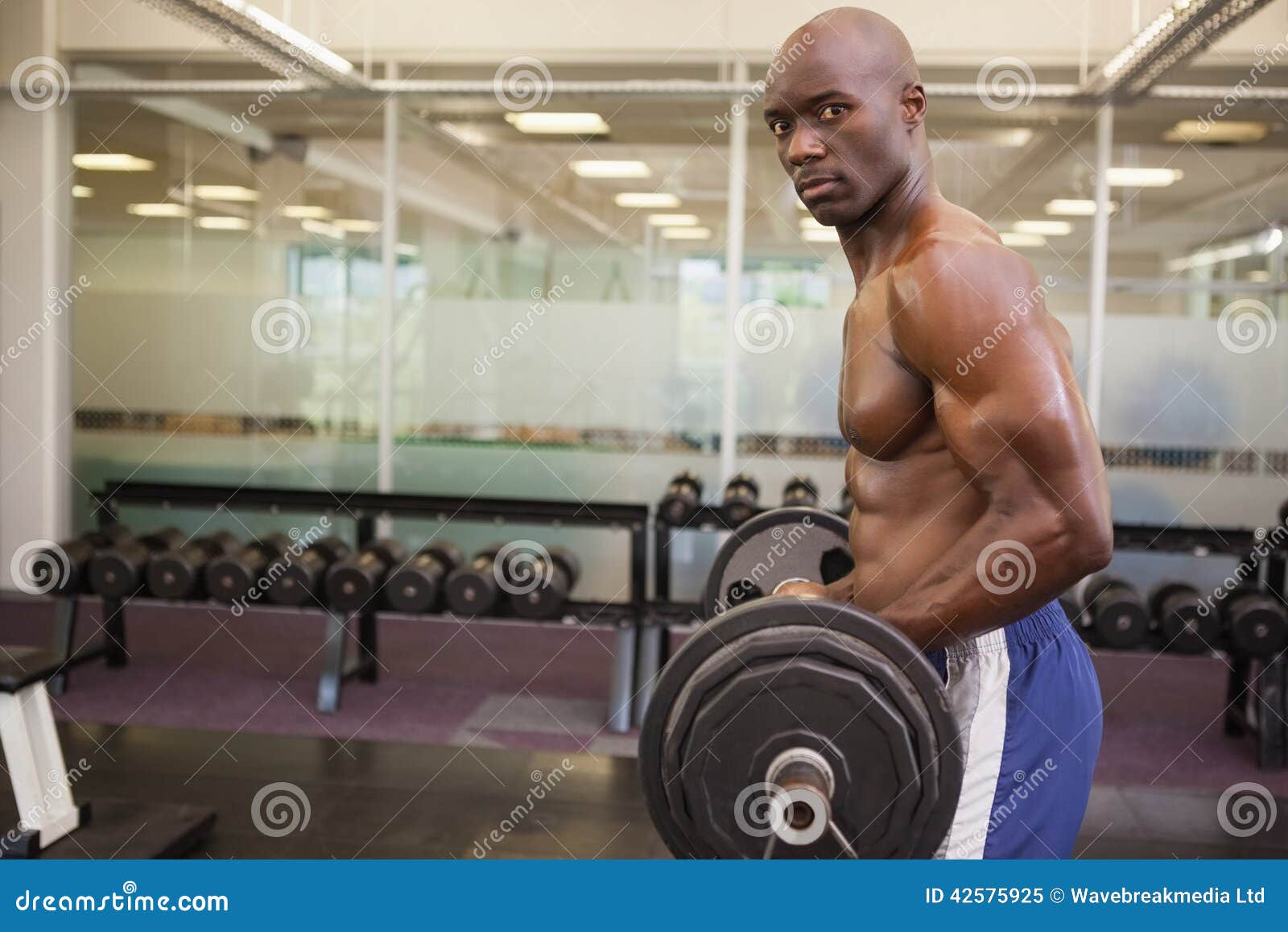 Muscular Man Lifting Barbell In Gym Stock Image Image Of Person Male